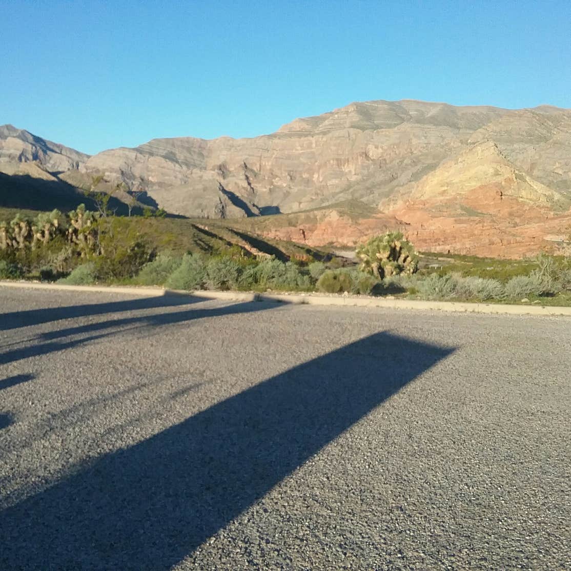 Virgin River Gorge Camping | The Dyrt