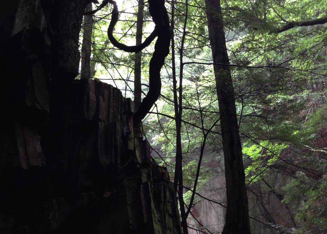 Fort Dummer State Park Camping | The Dyrt