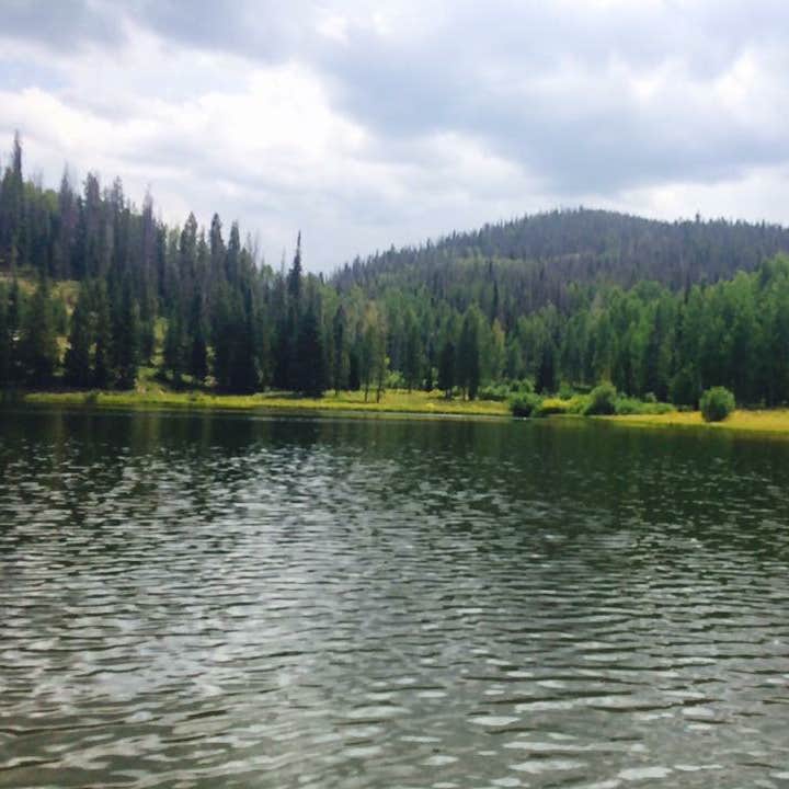 Pearl Lake State Park Camping | The Dyrt