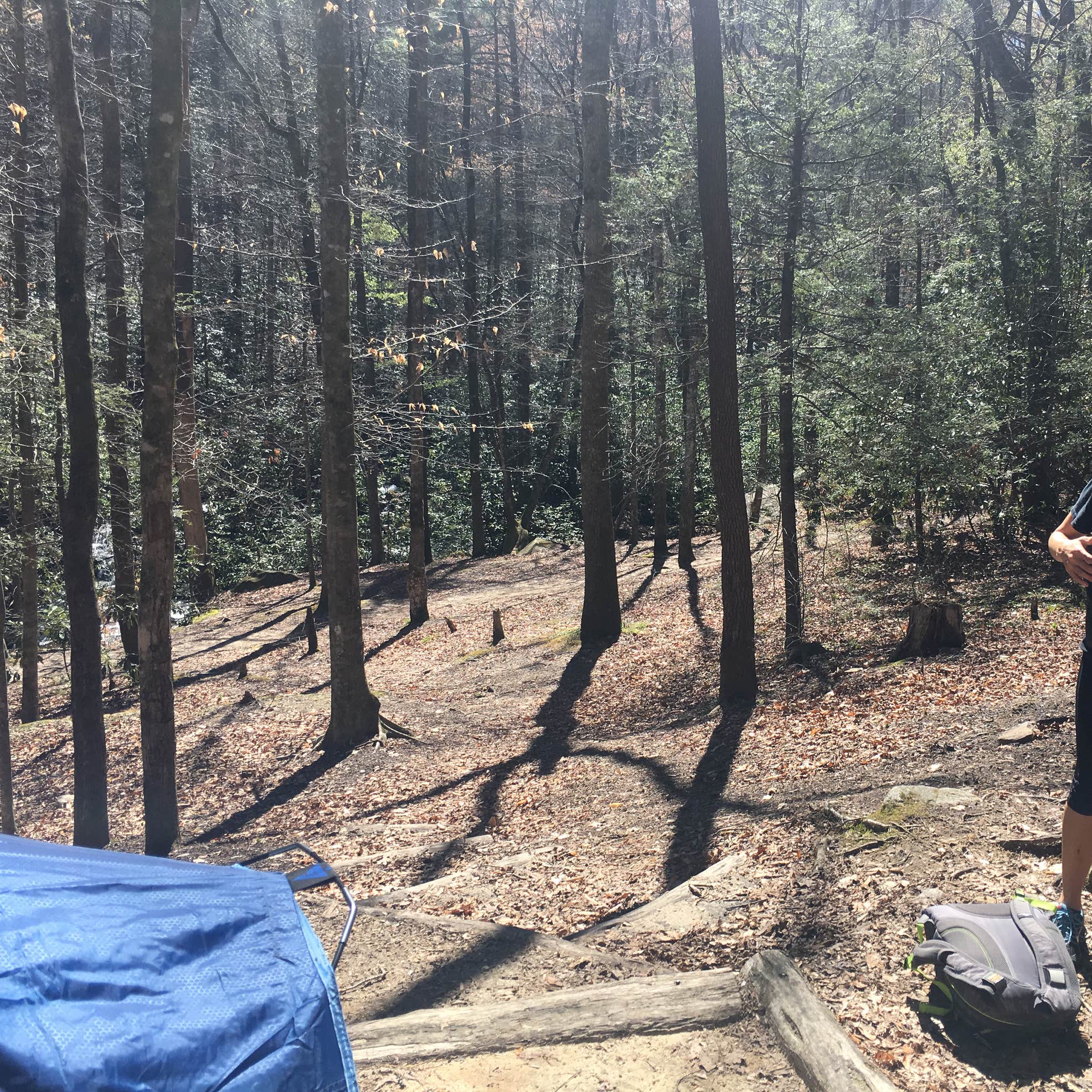 Jones Gap State Park Camping | The Dyrt