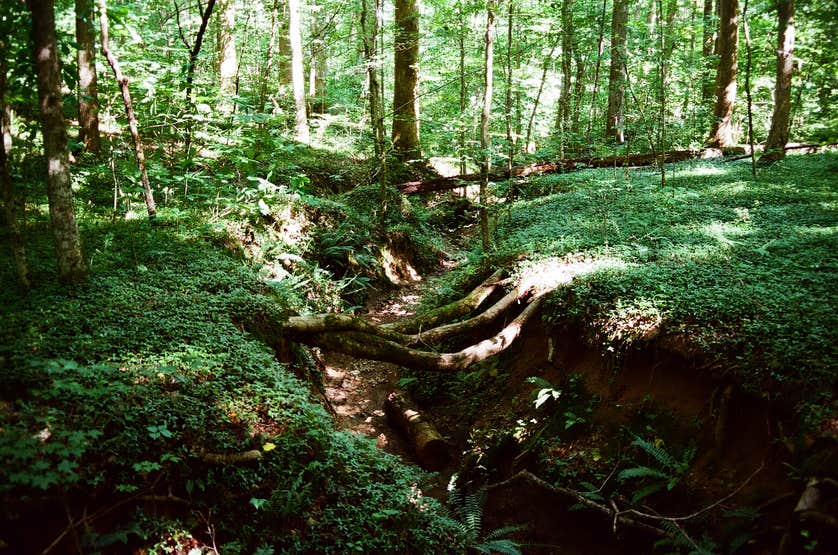 Occoneechee State Park Camping | The Dyrt