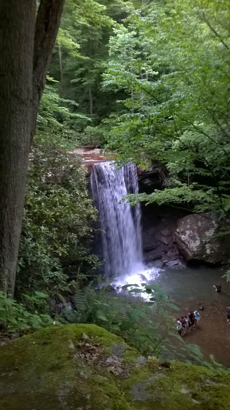 Ohiopyle State Park | The Dyrt