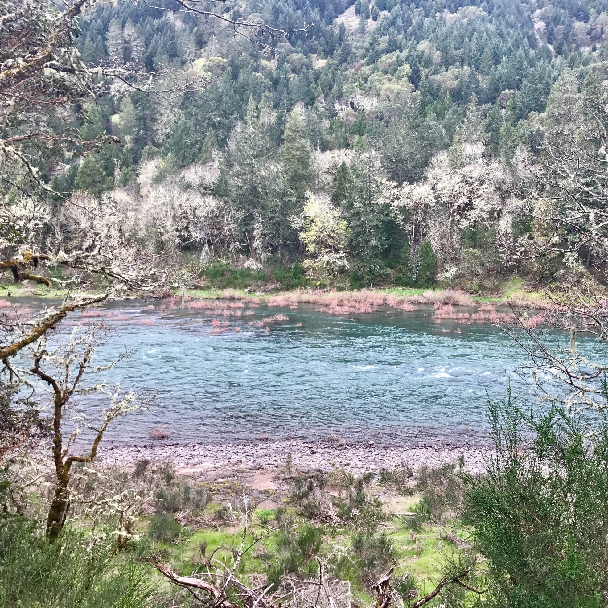 Whistlers Bend County Park Camping | The Dyrt