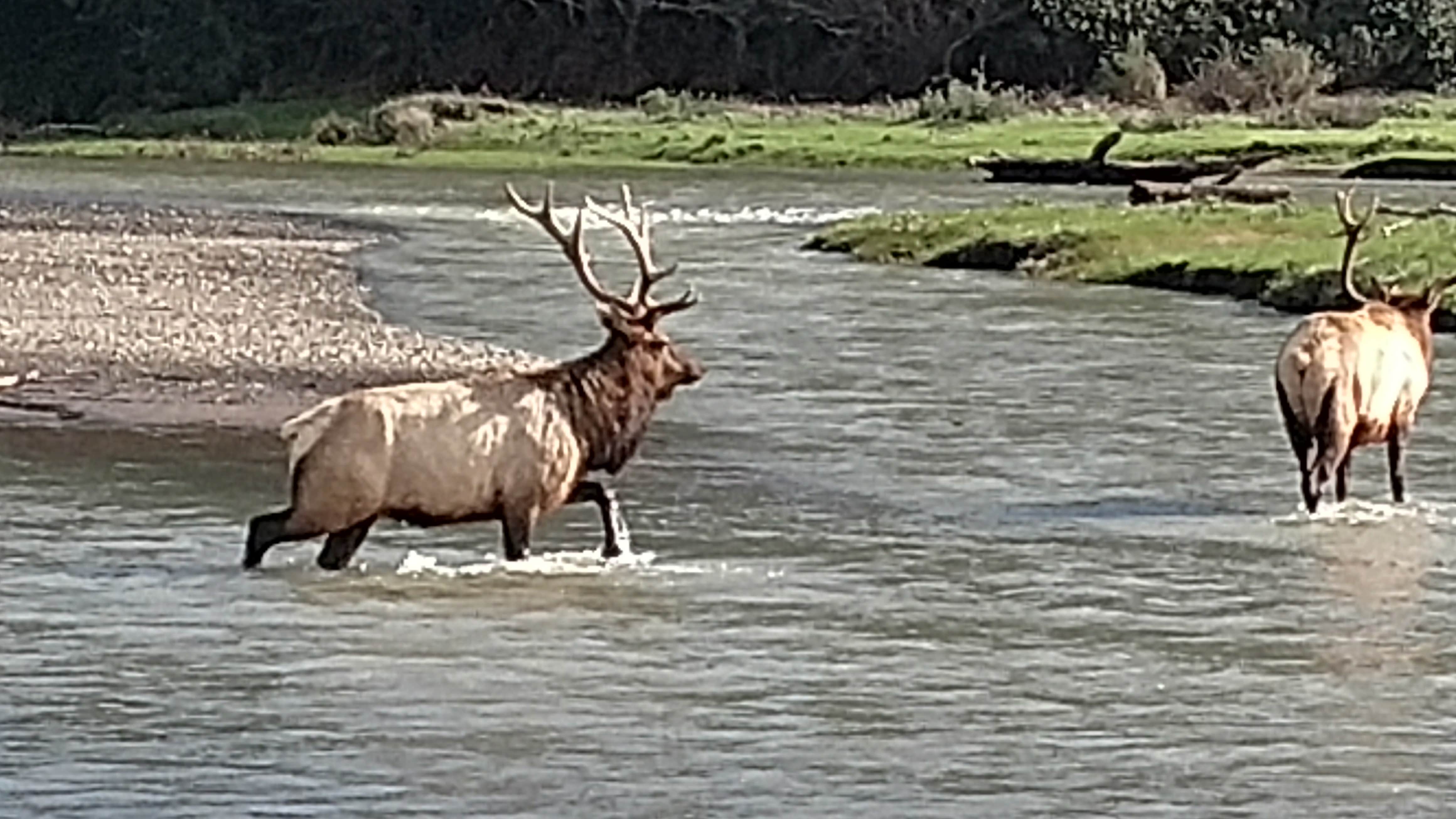 Usal Beach - Sinkyone Wilderness State Park Camping | The Dyrt