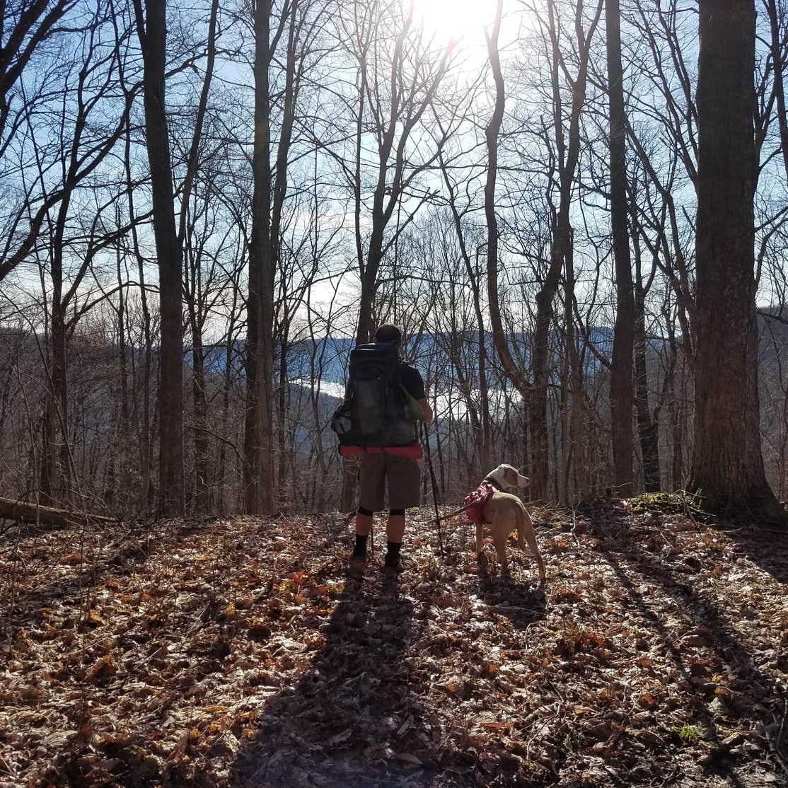 Frozen Head State Park Camping | Wartburg, TN | The Dyrt Frozen Head State Park Camping | Wartburg, TN | The Dyrt