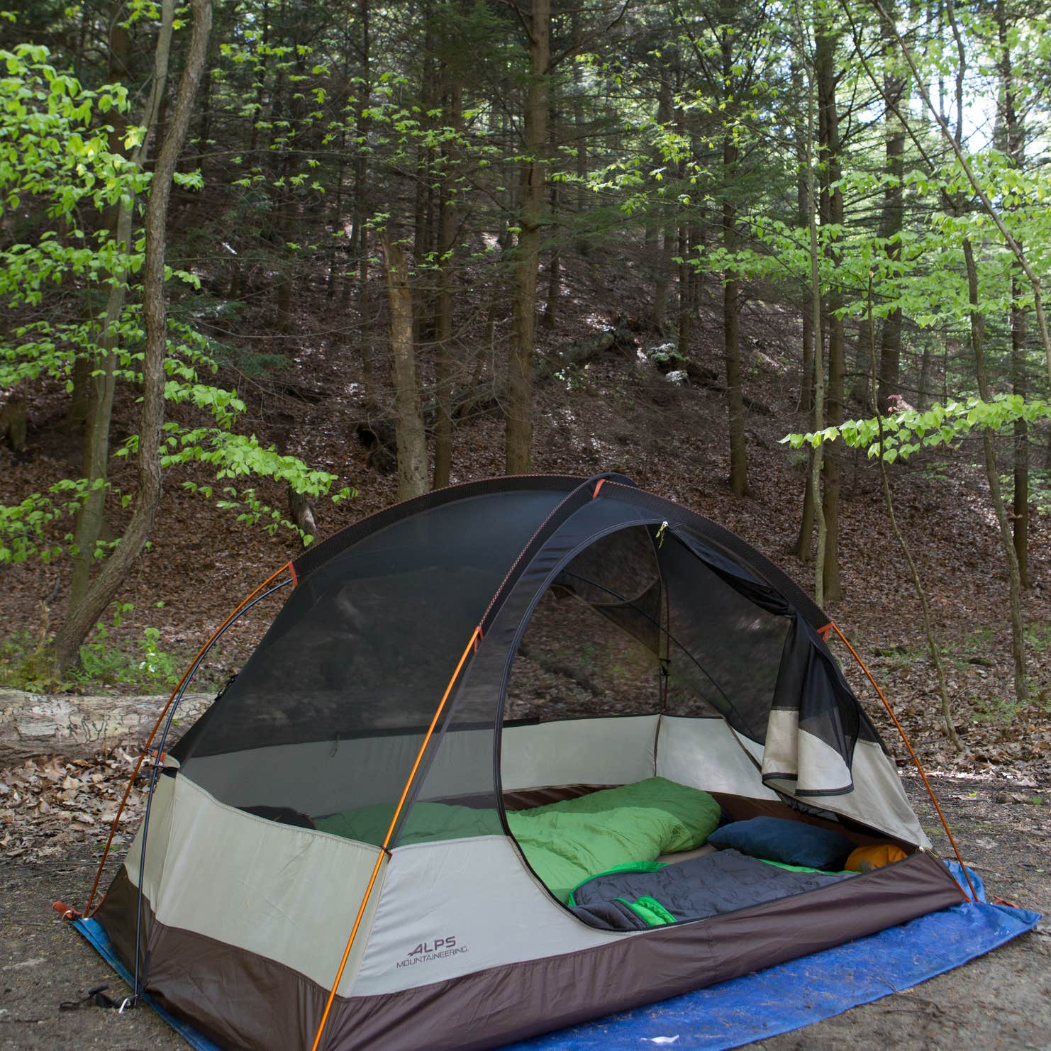 Hoffmaster State Park Camping | The Dyrt