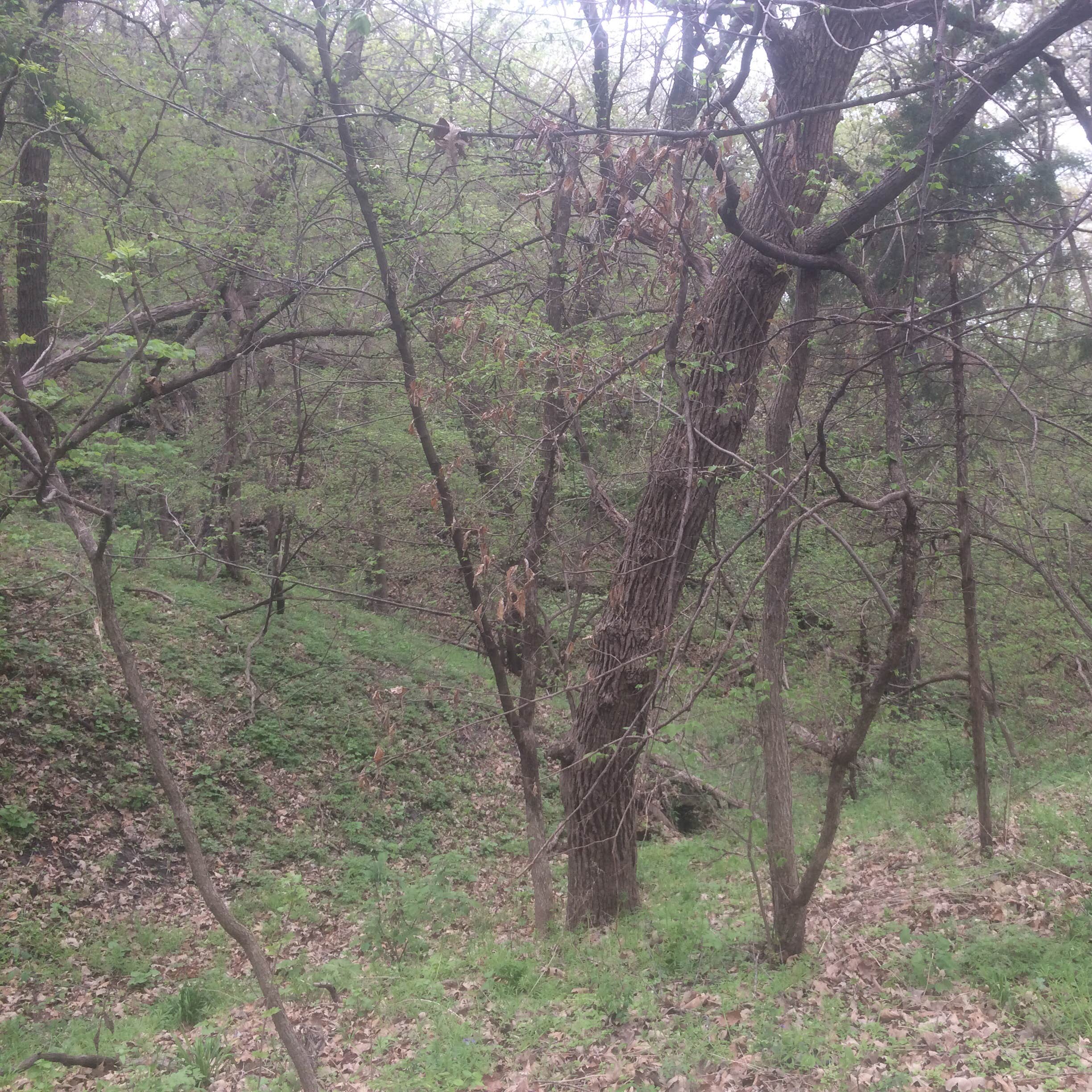 Platte River State Park Camping | The Dyrt