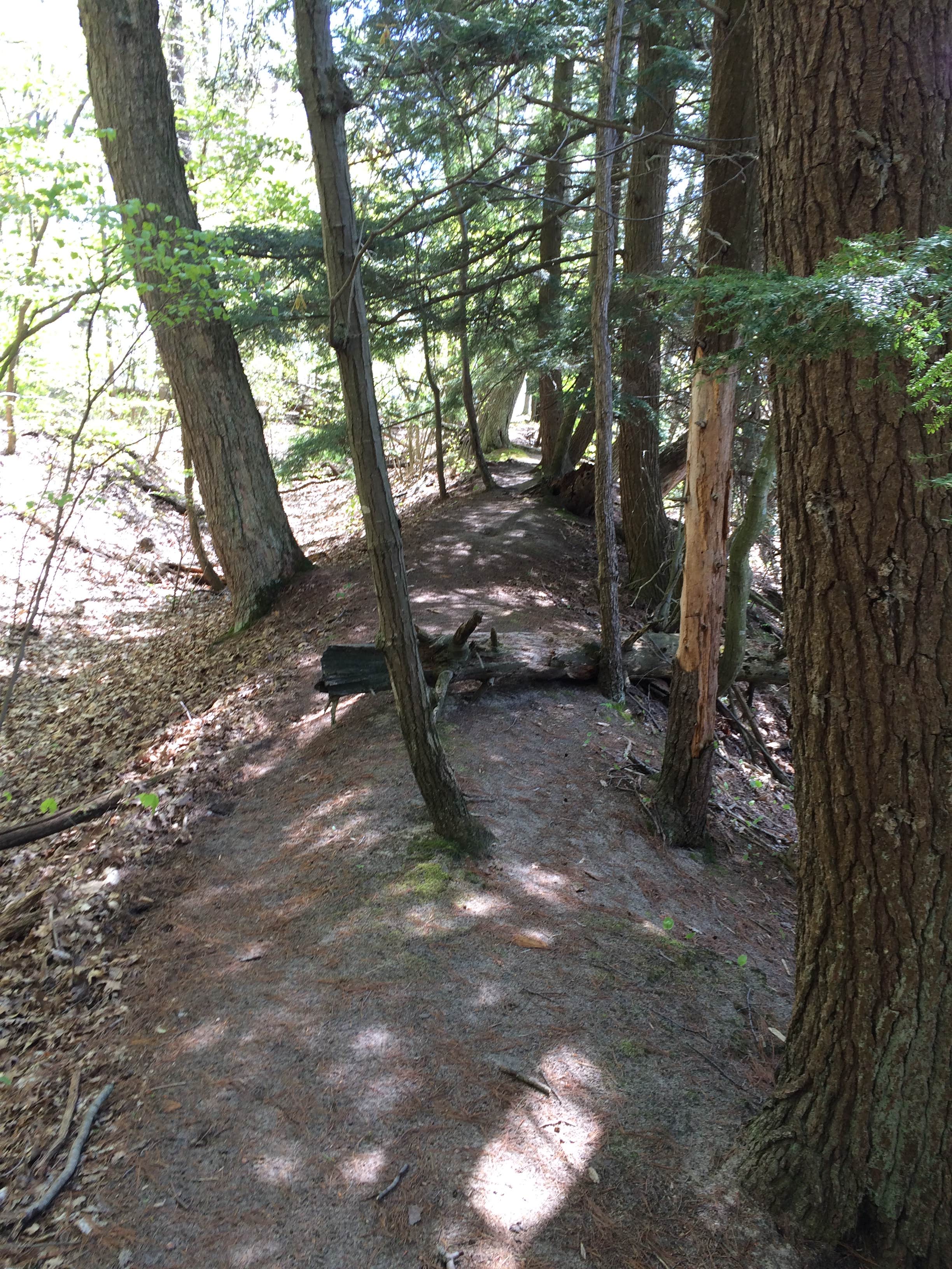 Hoffmaster State Park Campground | Norton Shores, Michigan