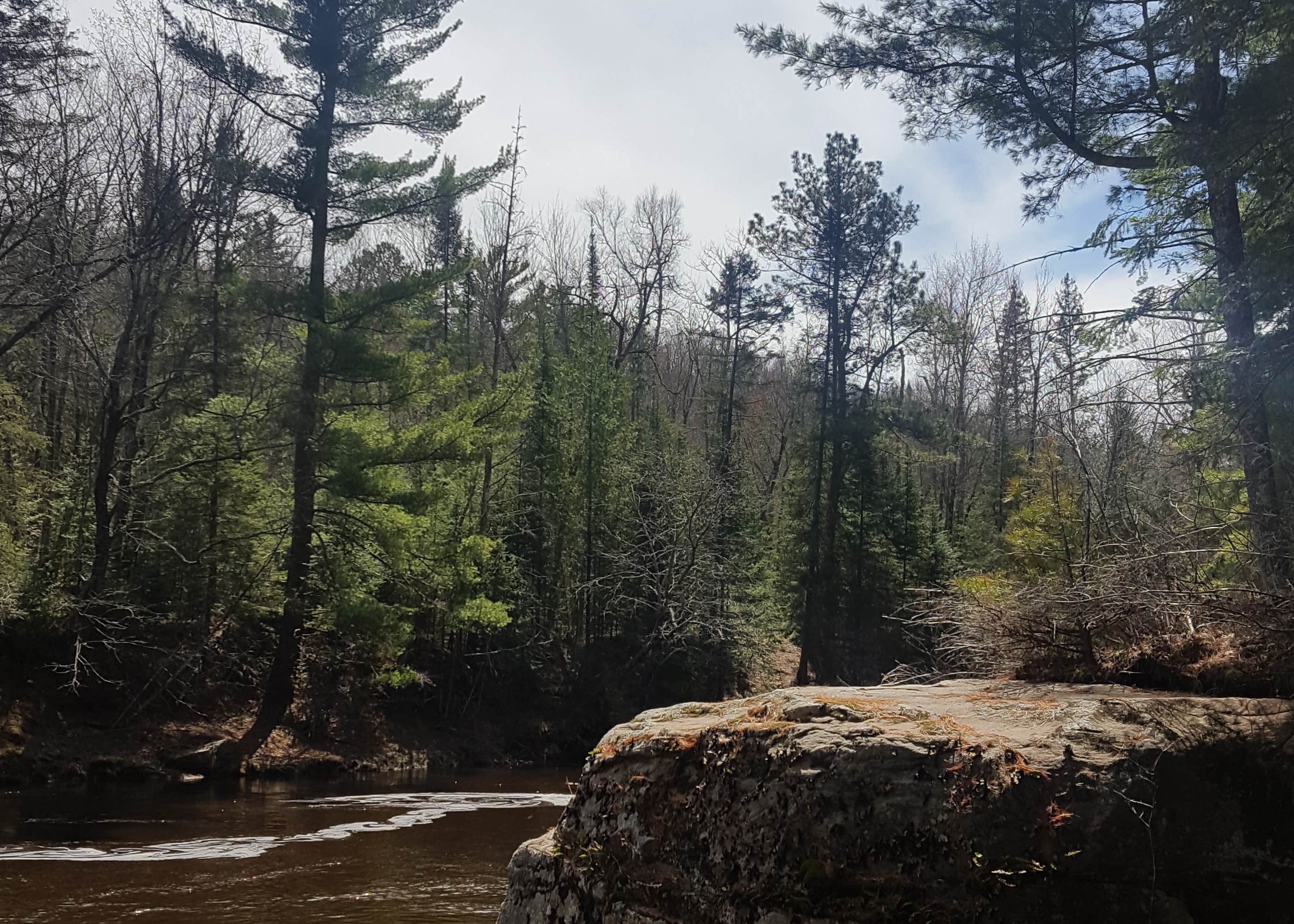 Banning State Park Camping | The Dyrt