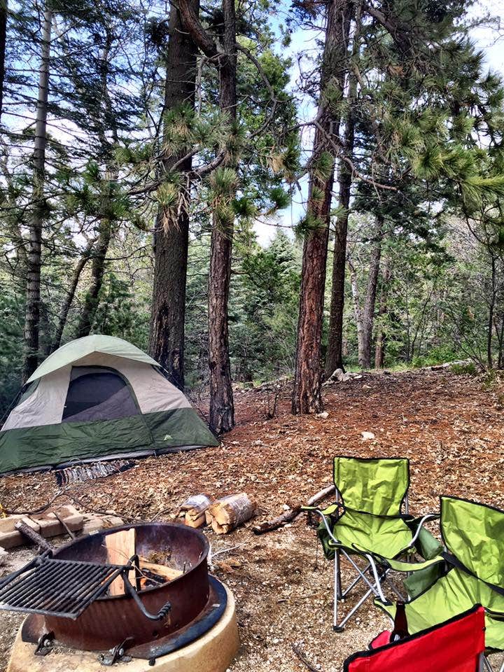 Dogwood Camping | Rimforest, California