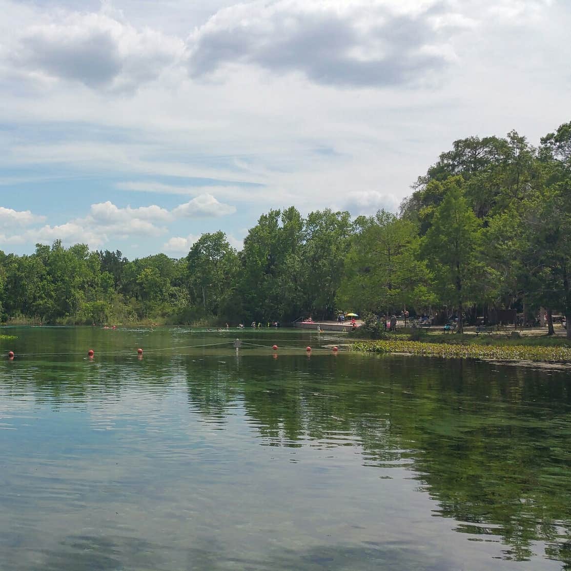 Alexander Springs Recreation Area Camping | The Dyrt