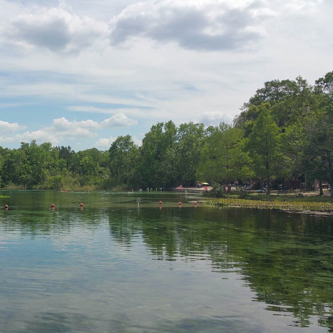 Alexander Springs Recreation Area Camping | The Dyrt