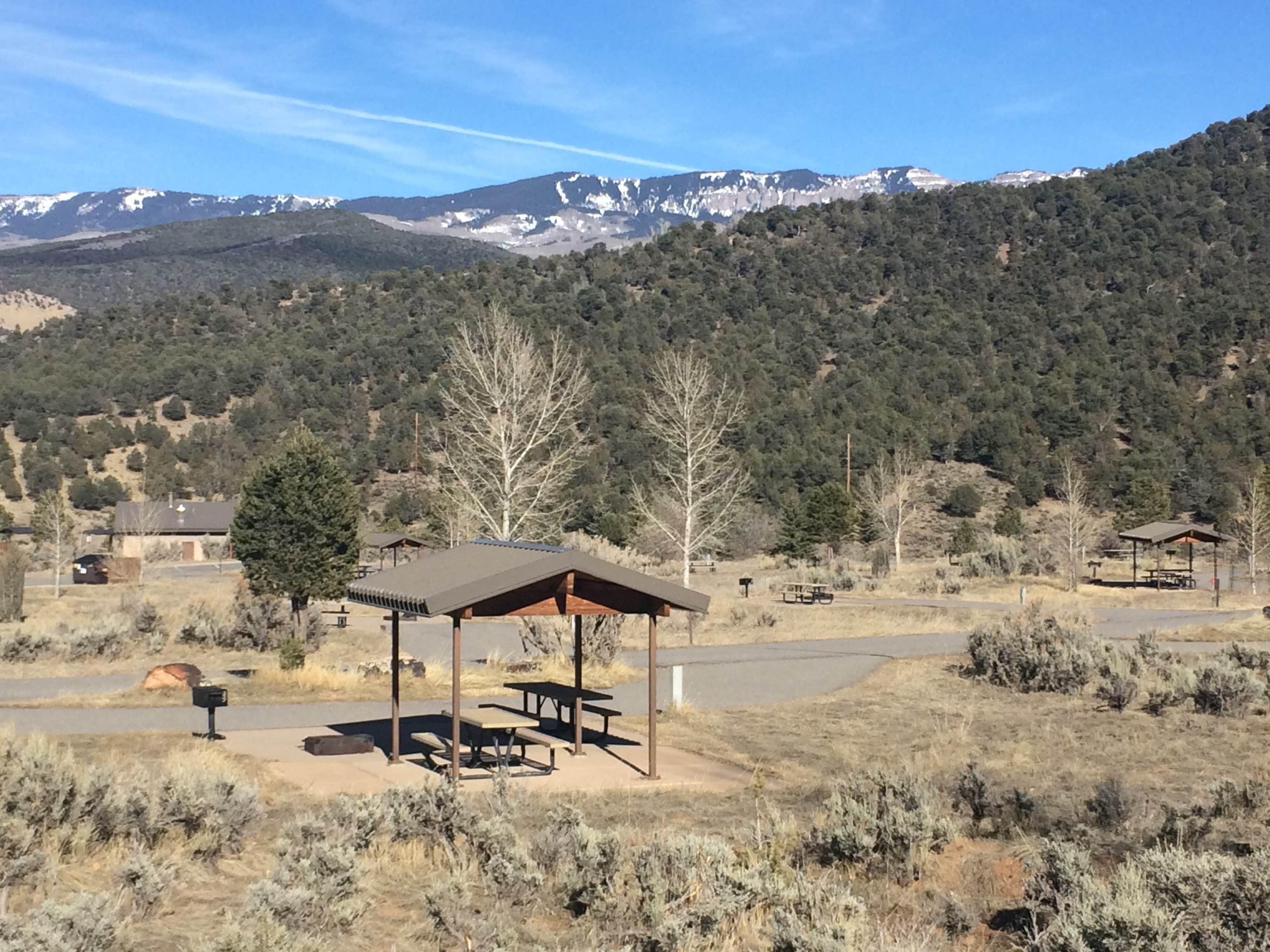 Dakota Terraces Campground — Ridgway State Park | Ridgway, CO