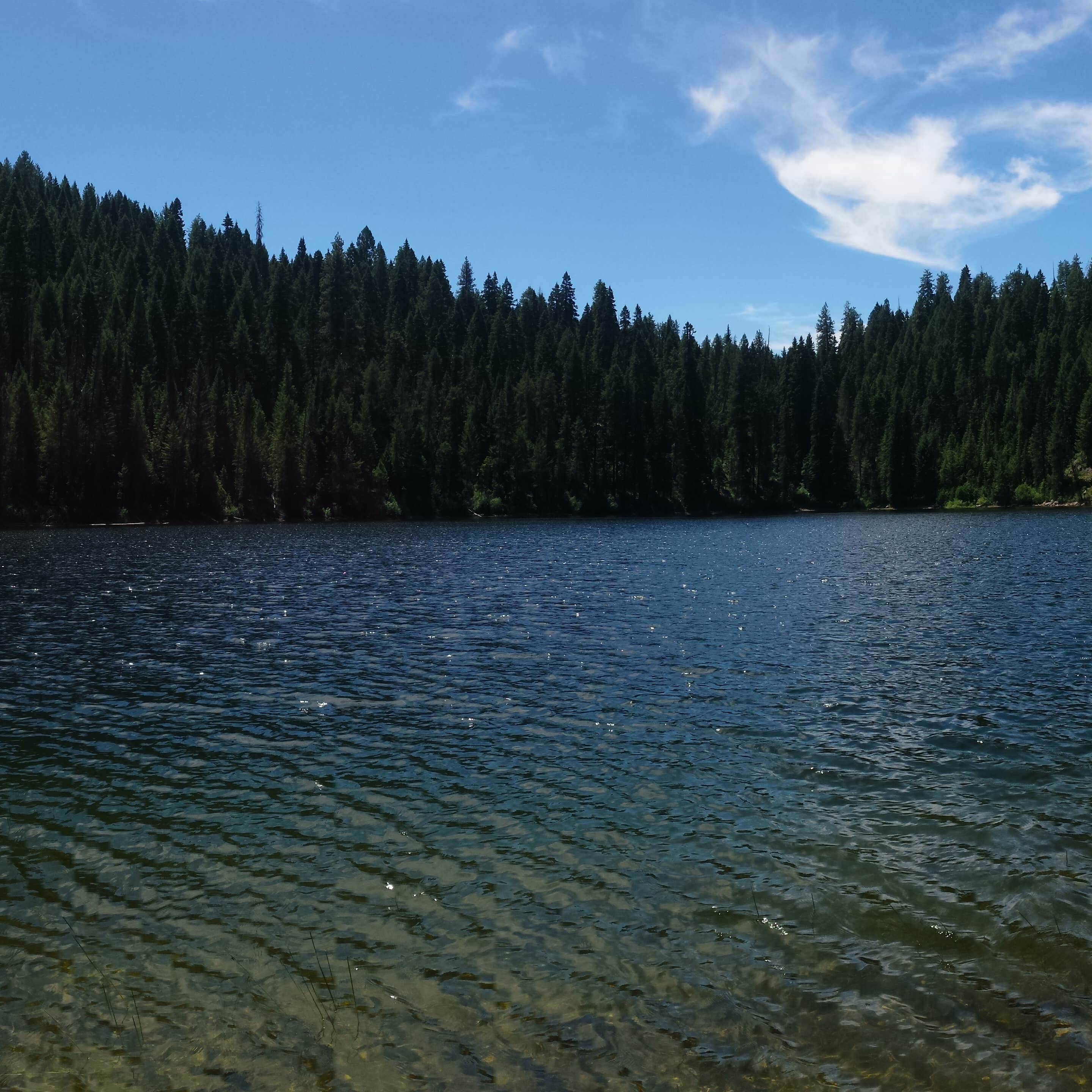 Sagehen Creek Camping | Ola, Idaho
