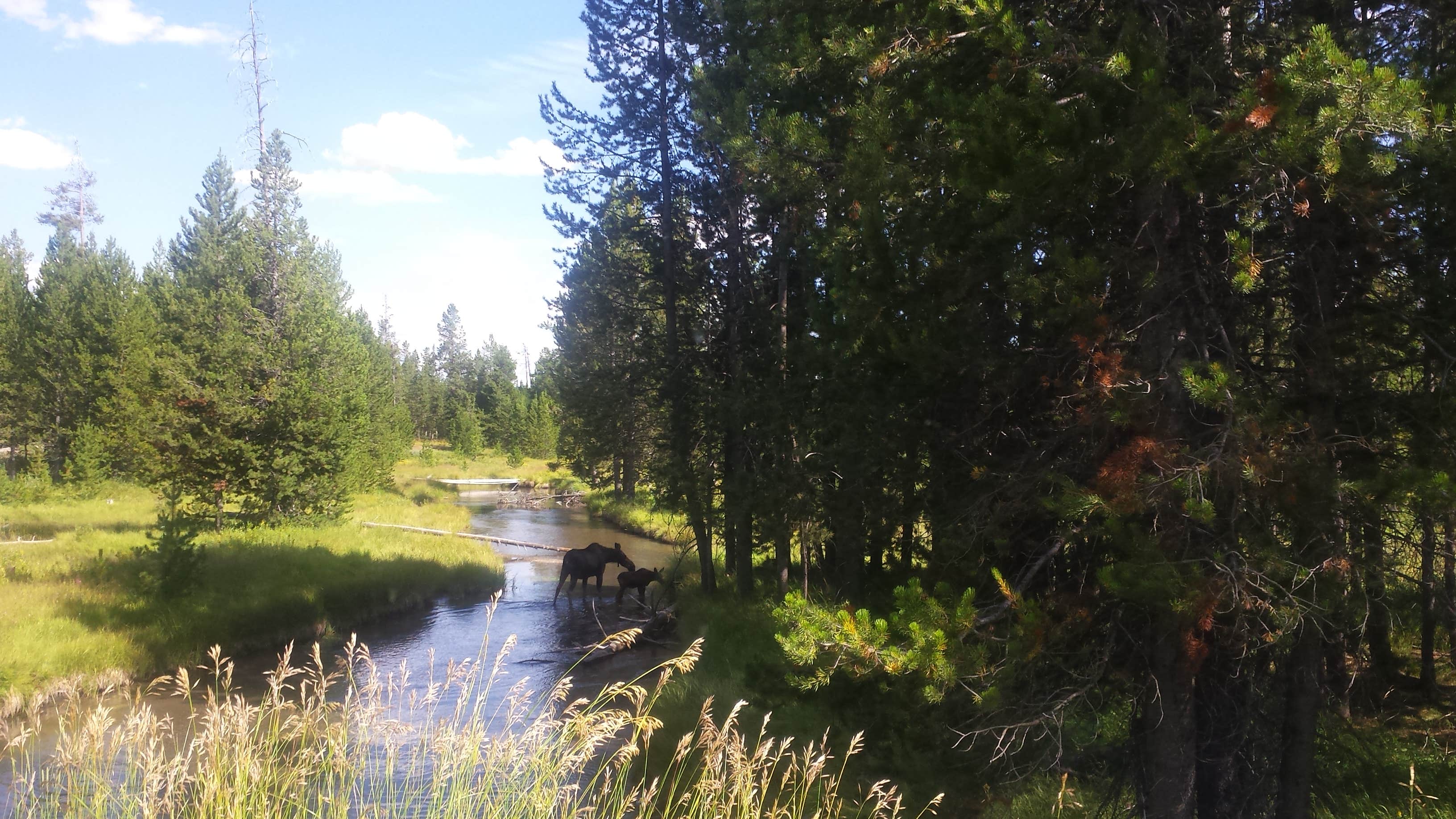 Henrys Lake | The Dyrt