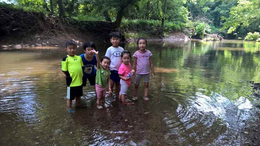 Bull Run Regional Park Camping | The Dyrt