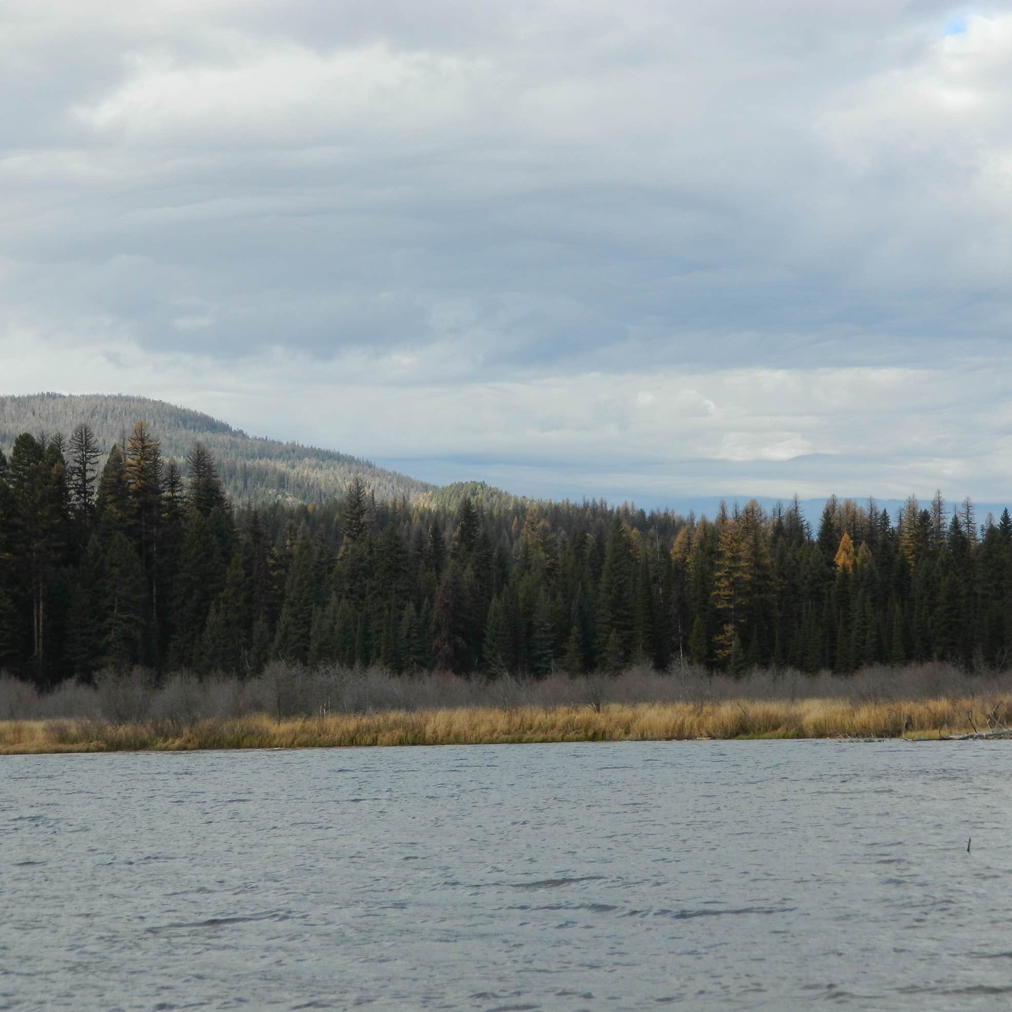 Lake Alva Campground Camping | The Dyrt