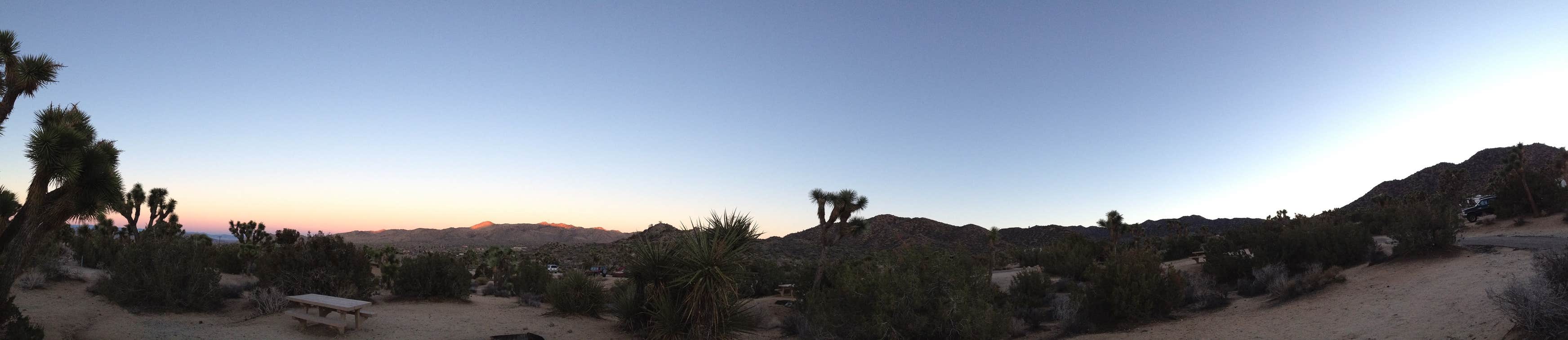 Black Rock Campground - Joshua Tree Camping | The Dyrt