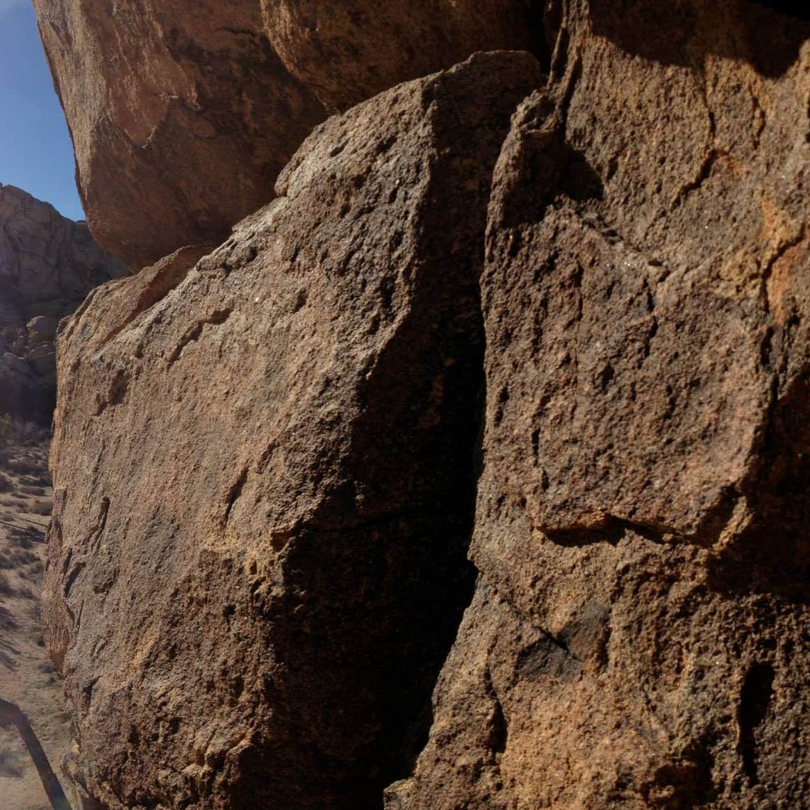 Black Rock Campground - Joshua Tree Camping | The Dyrt