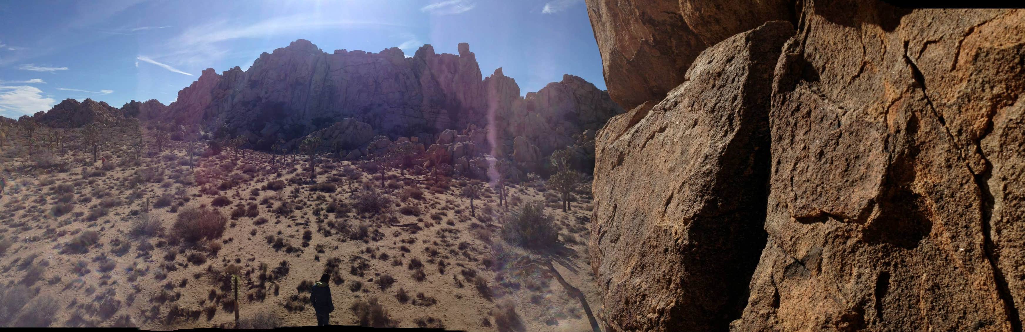 Black Rock Campground - Joshua Tree Camping | The Dyrt