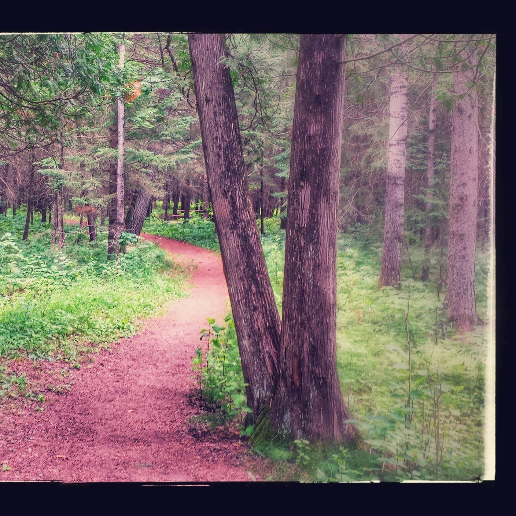 Jay Cooke Camping | The Dyrt