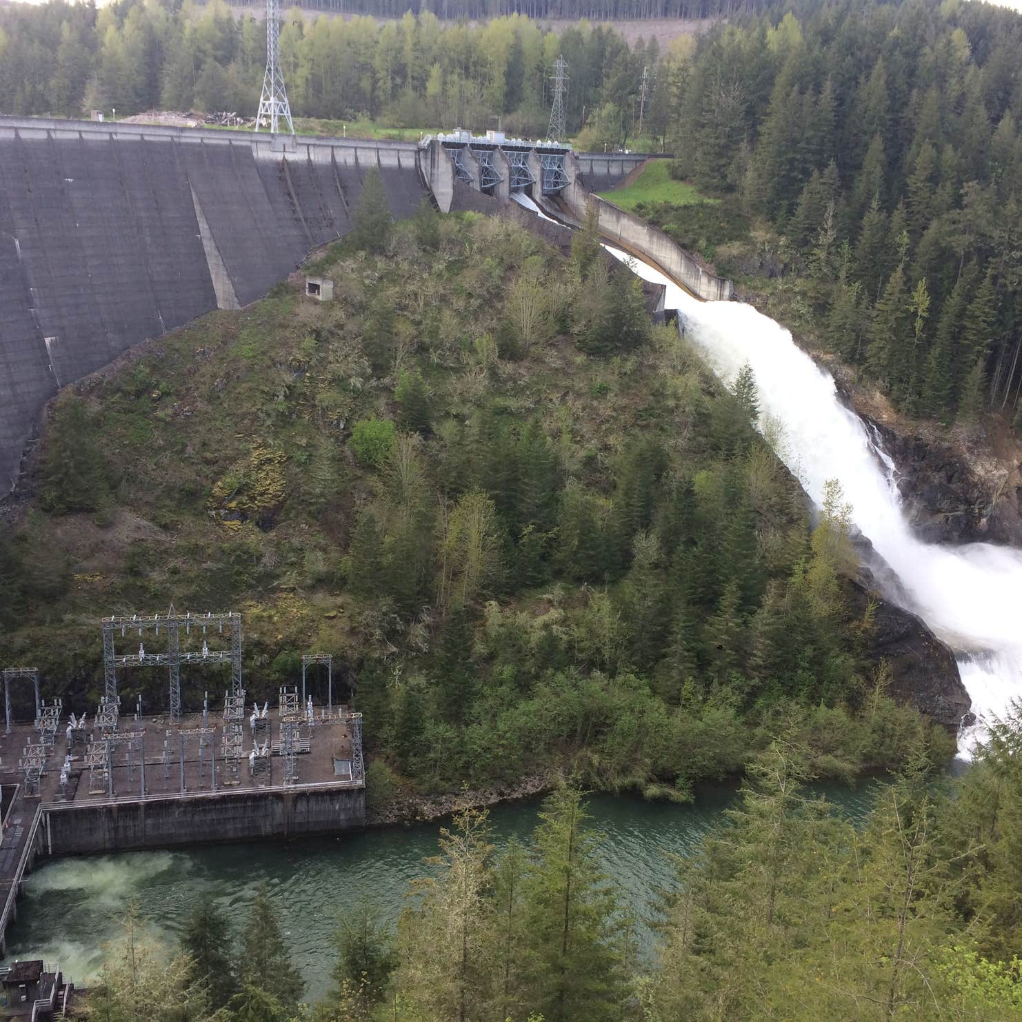 Alder Lake Park Camping | Eatonville, WA | The Dyrt