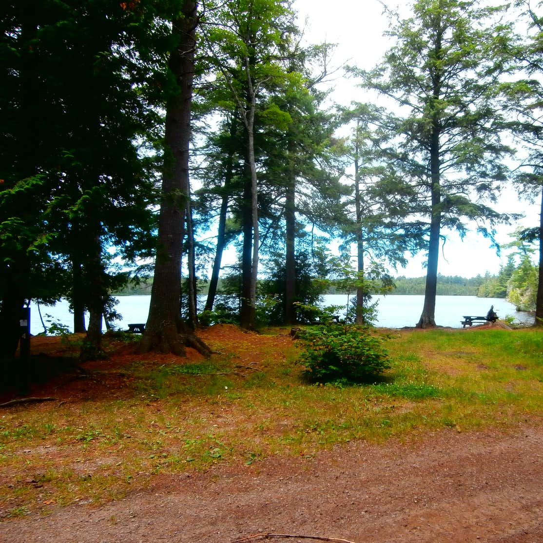 Canoe Lake State Forest Campground | Shingleton, MI