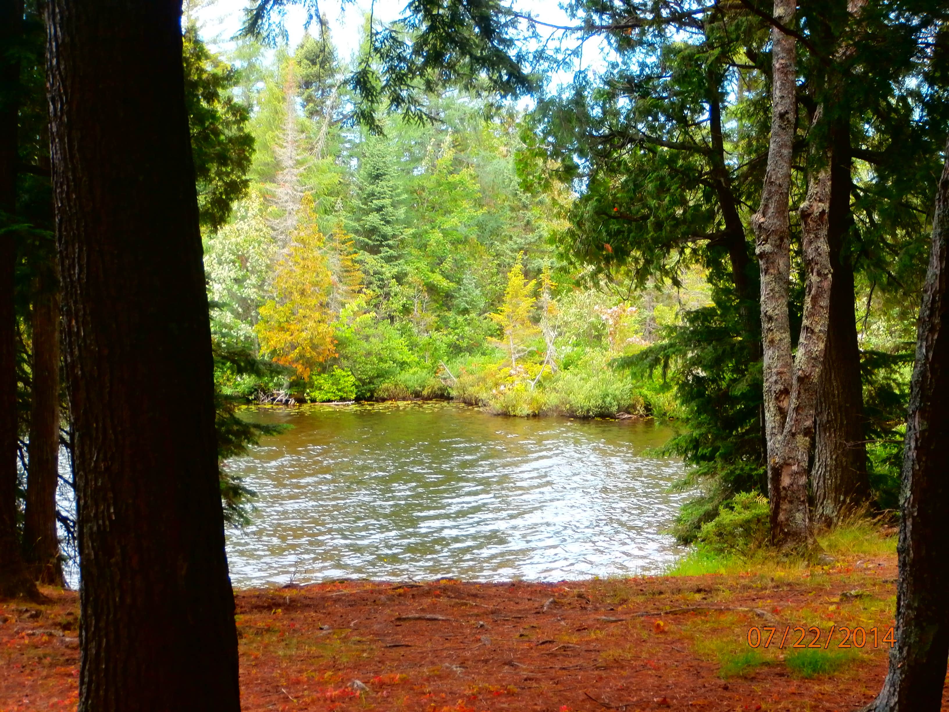 Canoe Lake State Forest Campground | Shingleton, MI