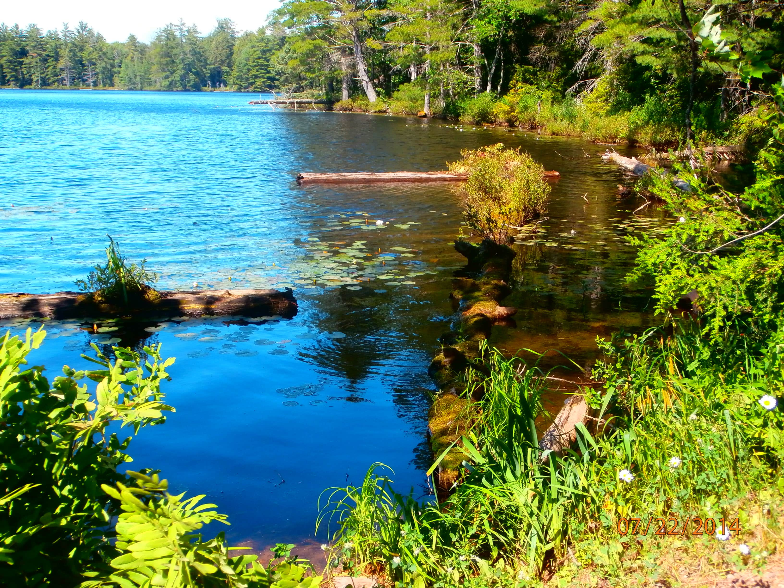 Canoe Lake State Forest Campground | Shingleton, MI
