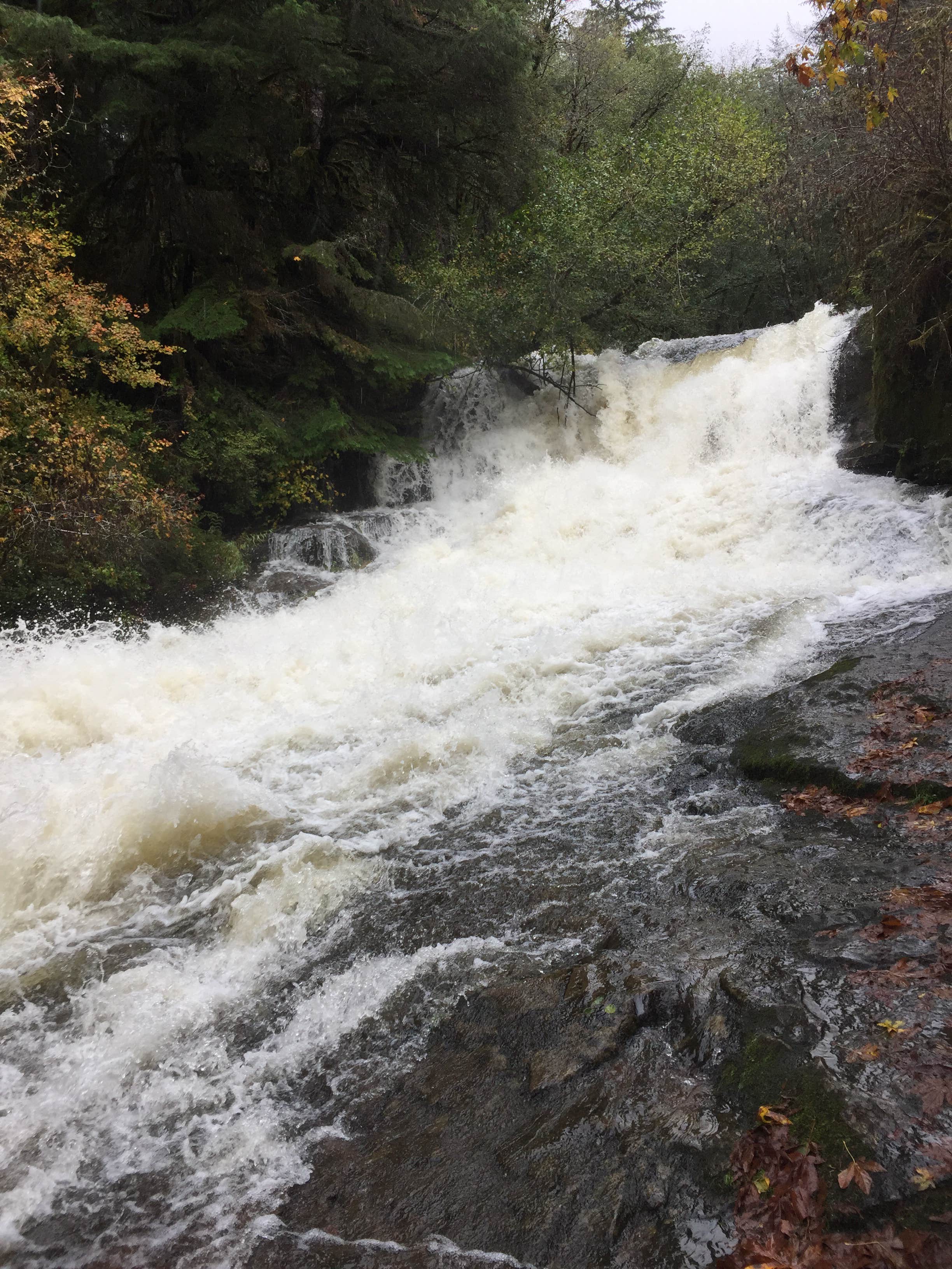 Alsea Falls Camping | Alsea, OR