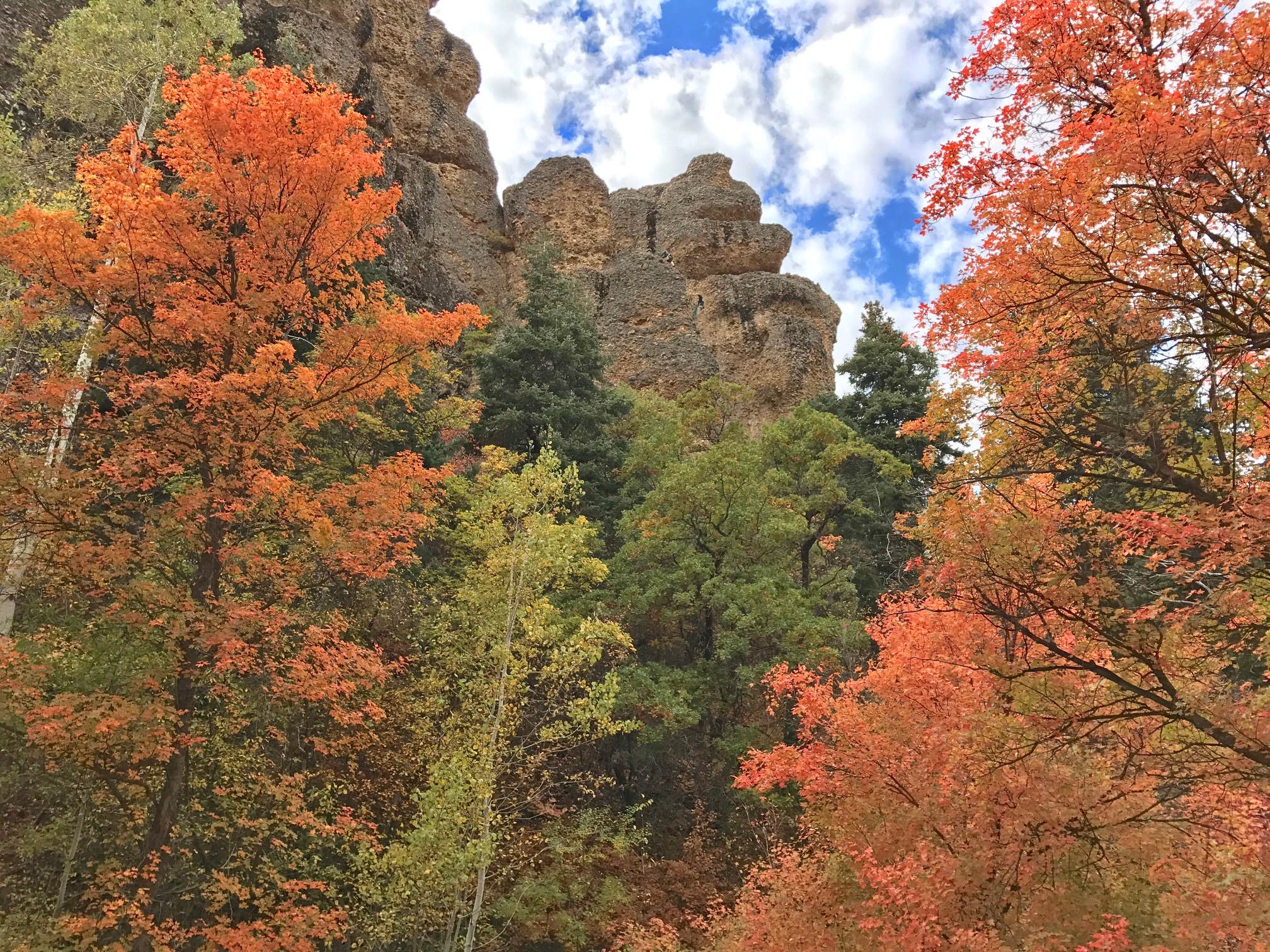 Maple Canyon | The Dyrt