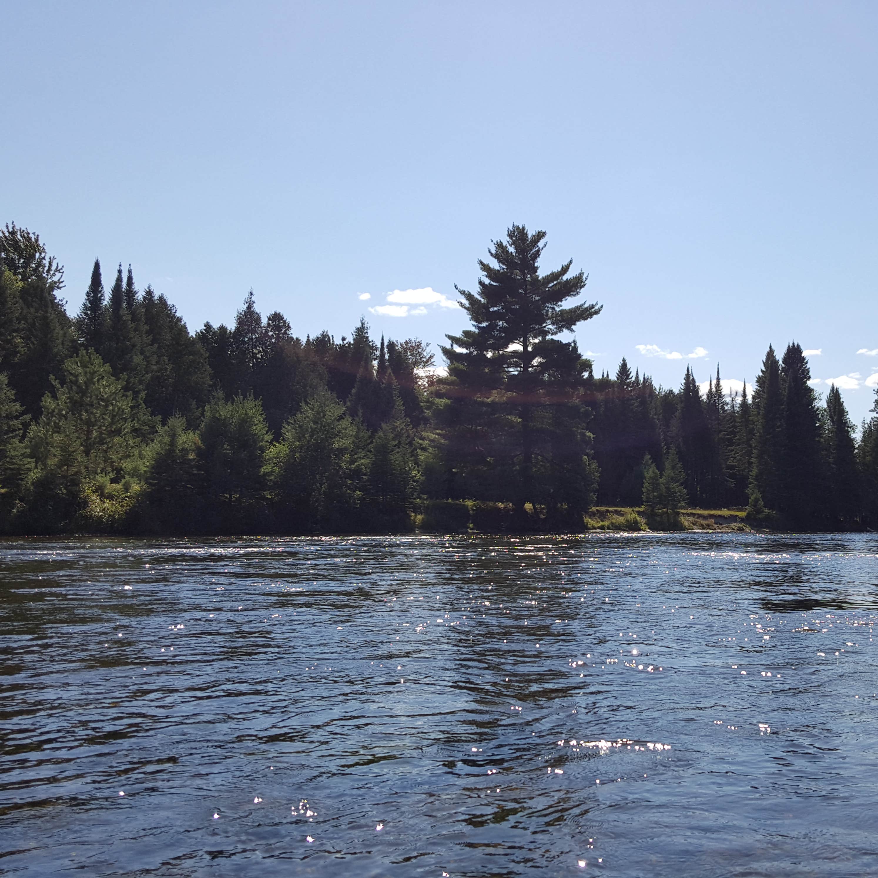 Alcona Park Camping | The Dyrt