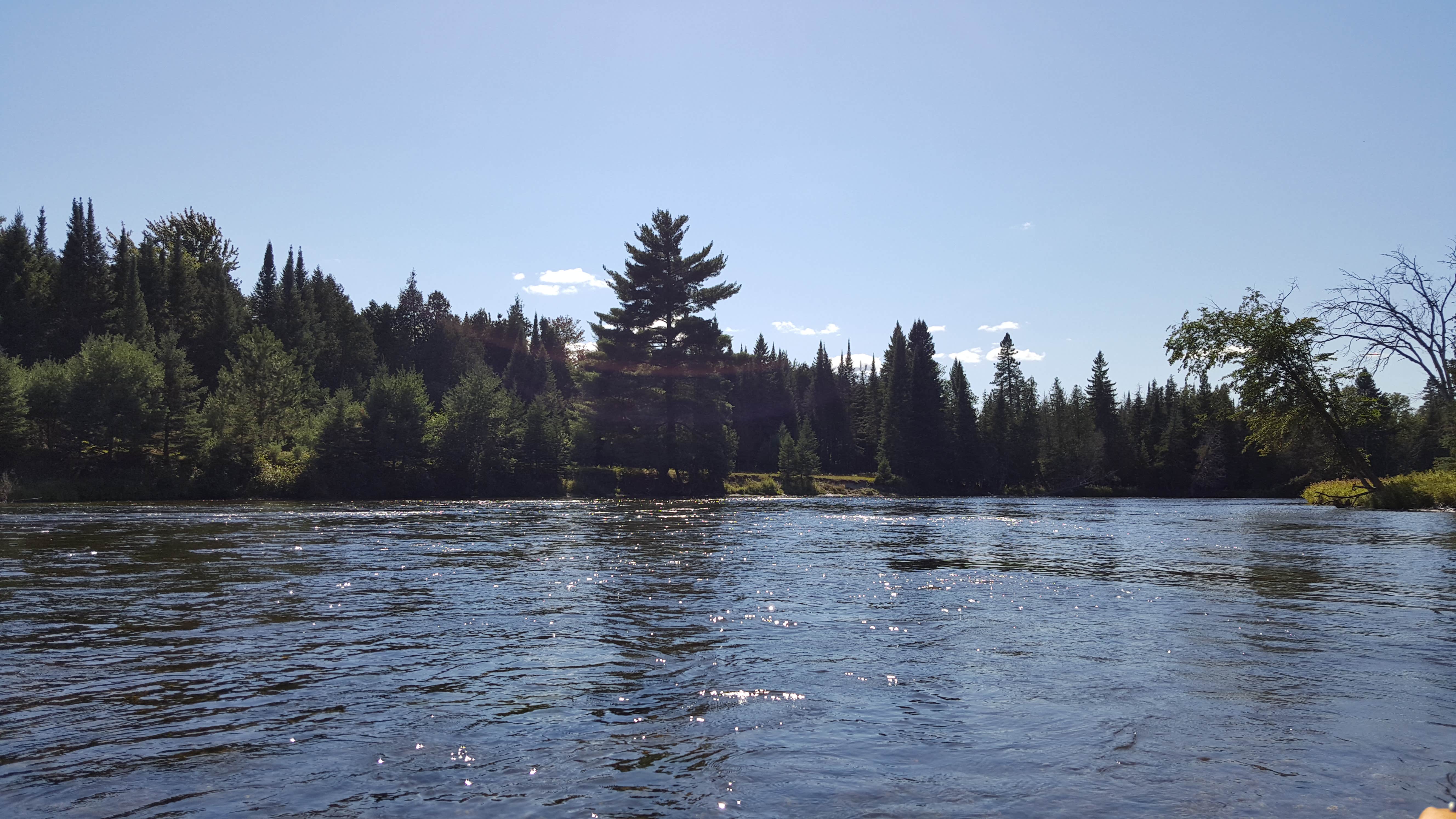 Alcona Park Camping | Glennie, Michigan