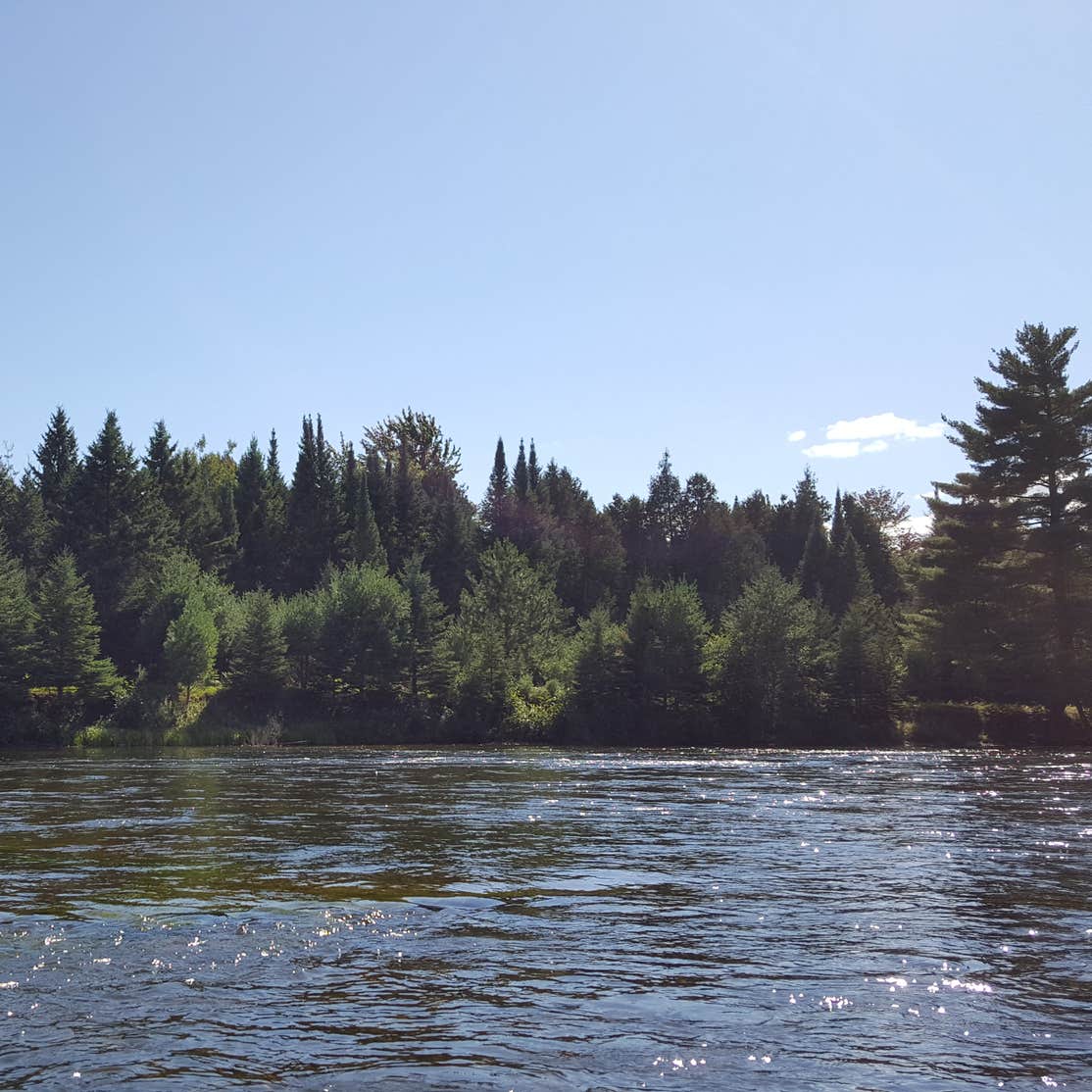 Alcona Park Camping | The Dyrt