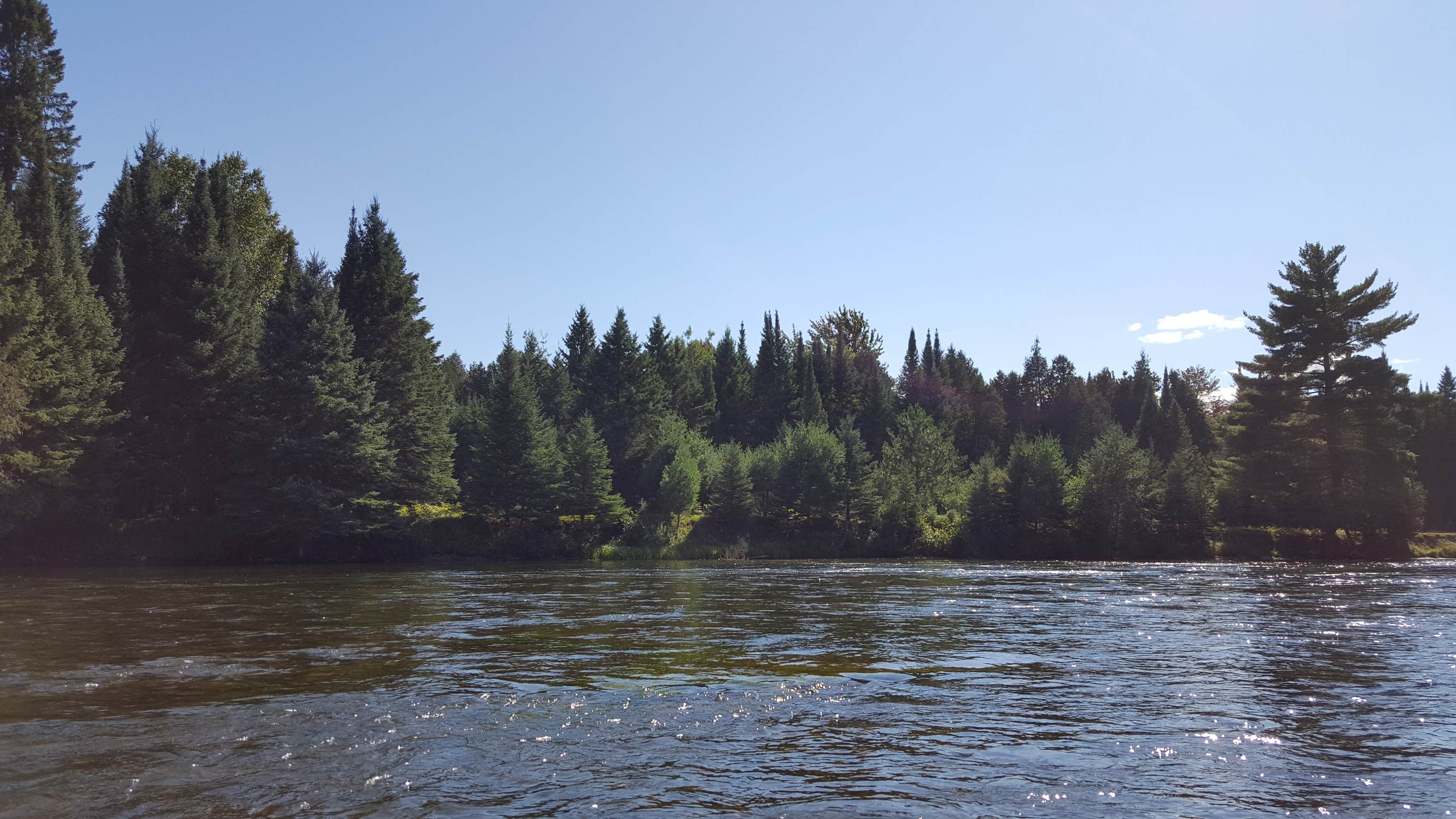 Alcona Park | The Dyrt