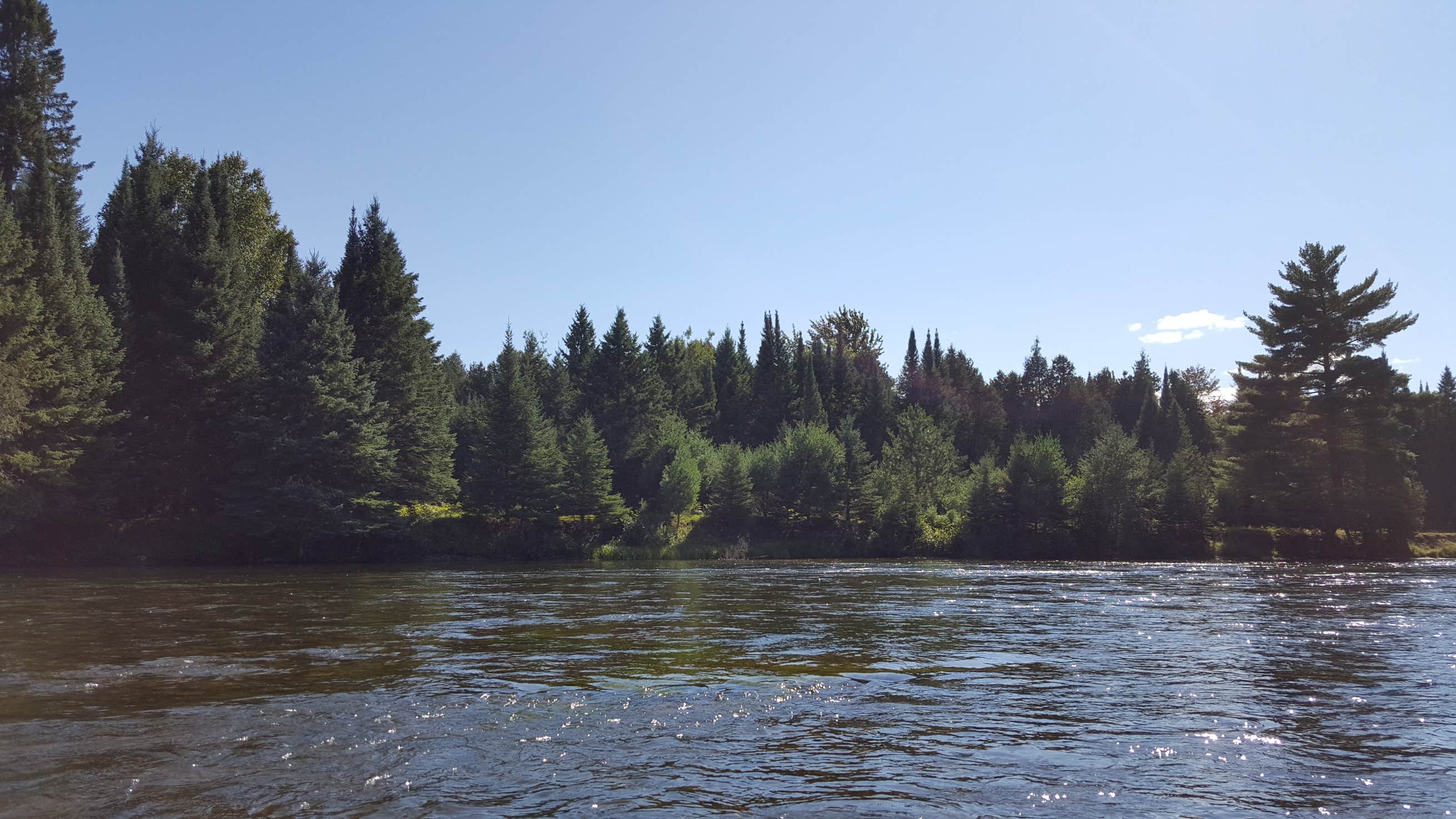 Alcona Park Camping | The Dyrt