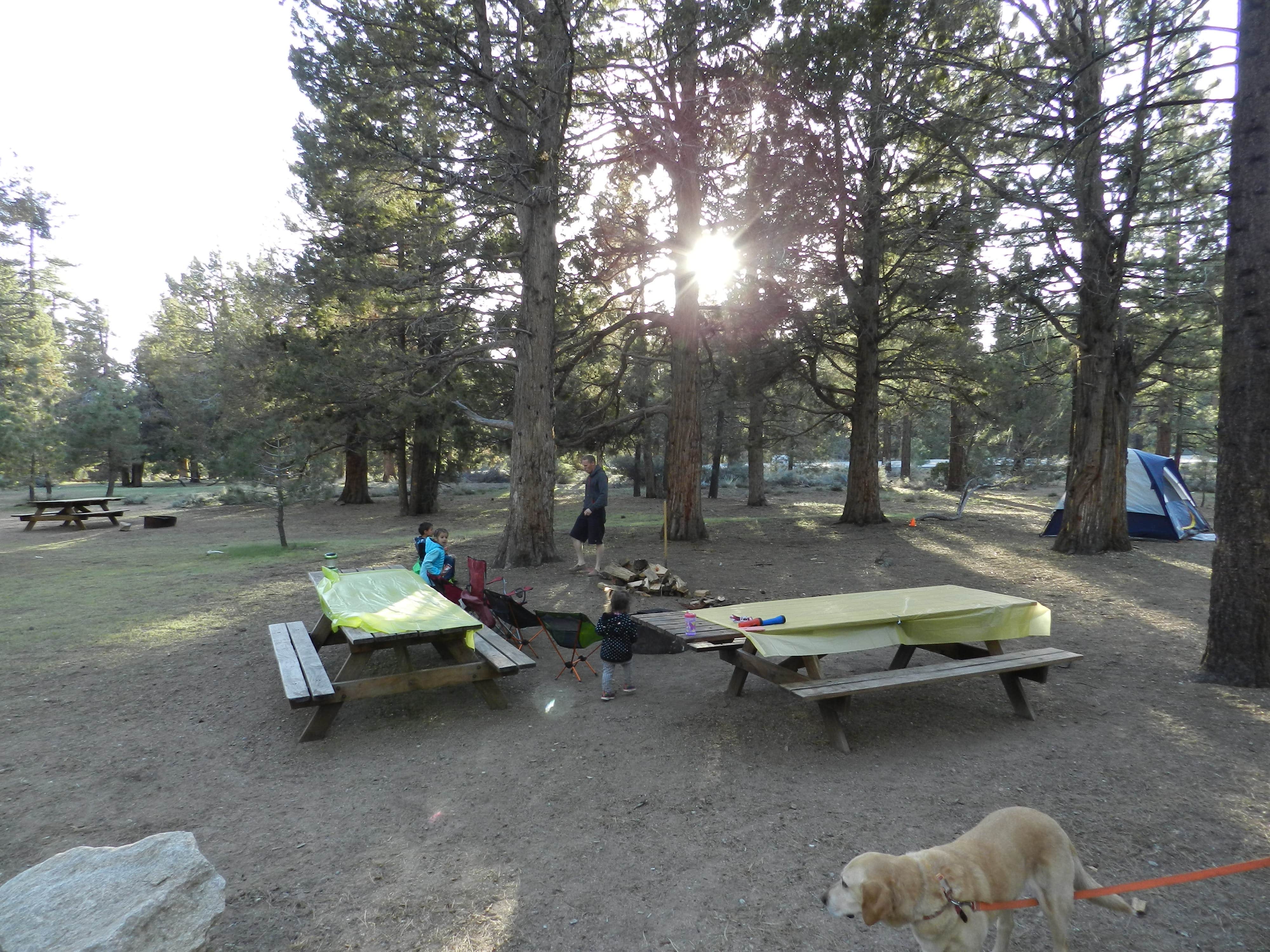 Serrano Camping | Big Bear Lake, California