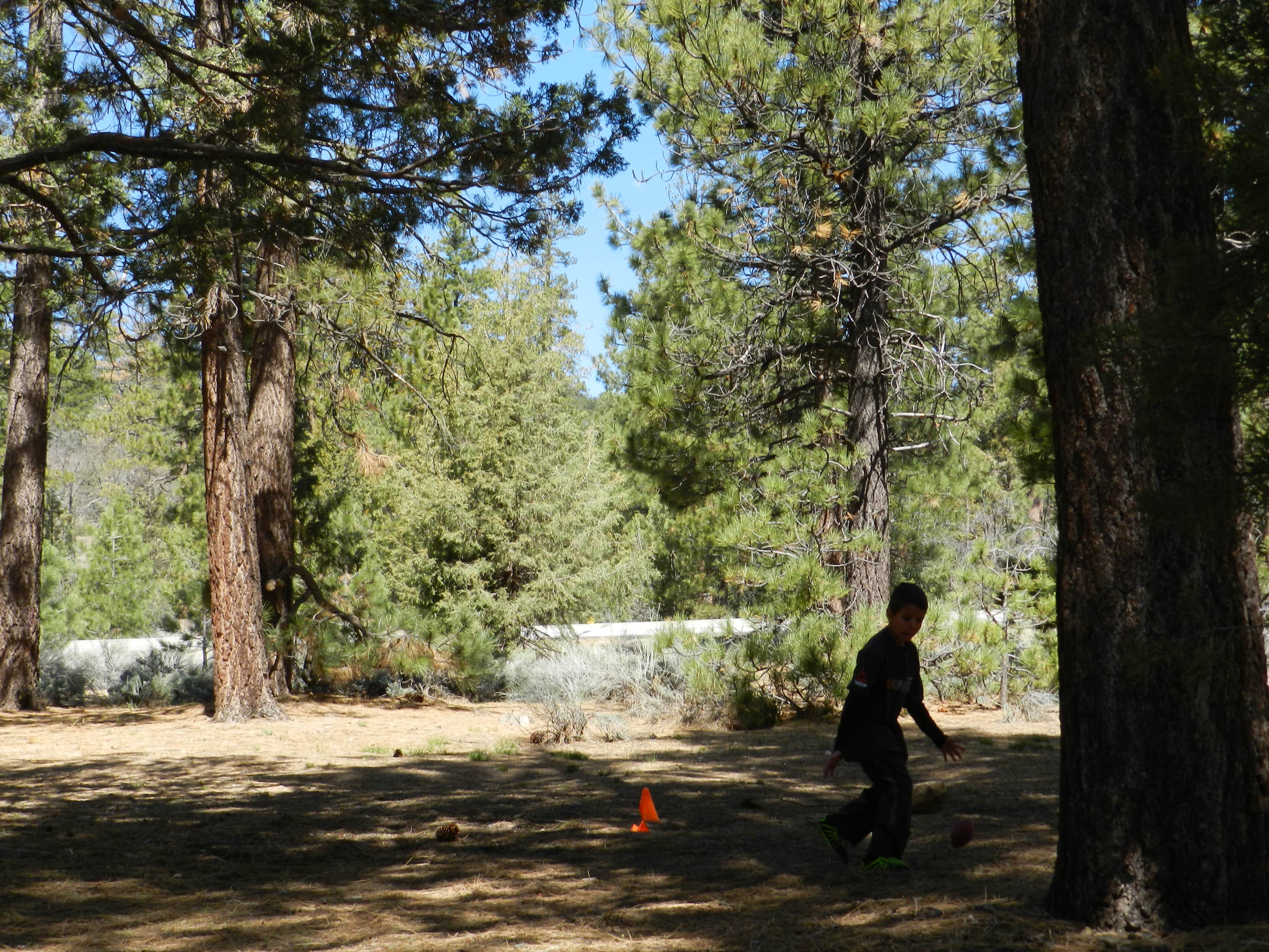 Serrano Camping | The Dyrt