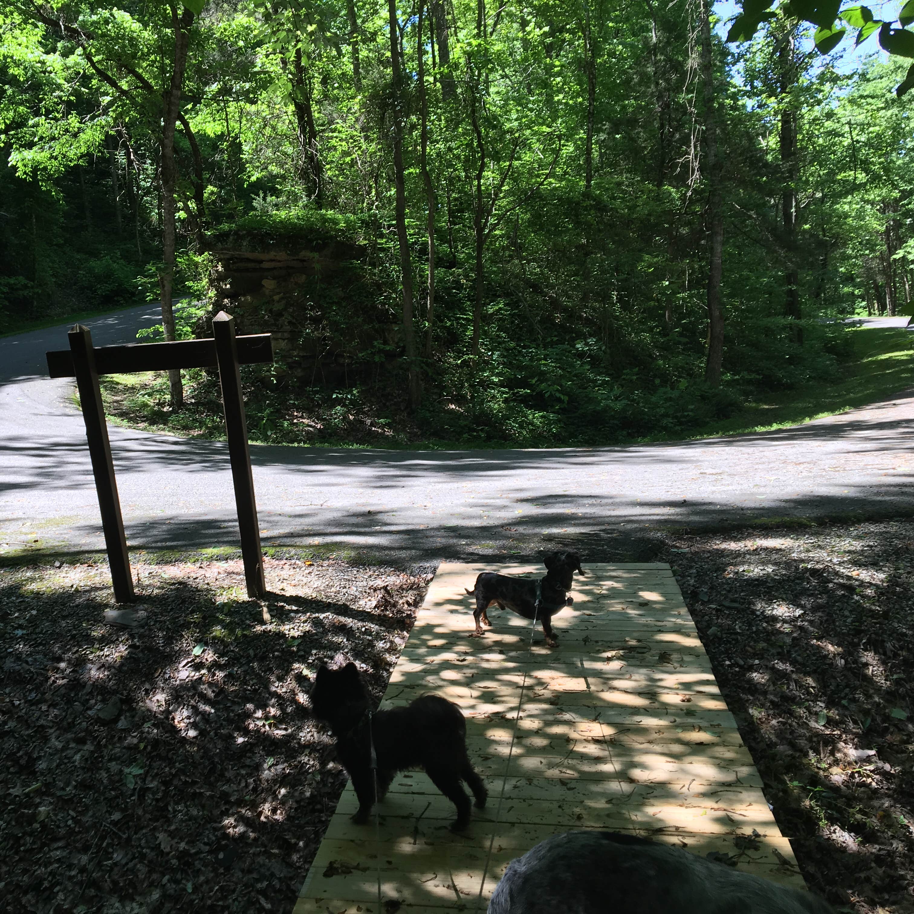 Edgar Evins State Park Camping | The Dyrt