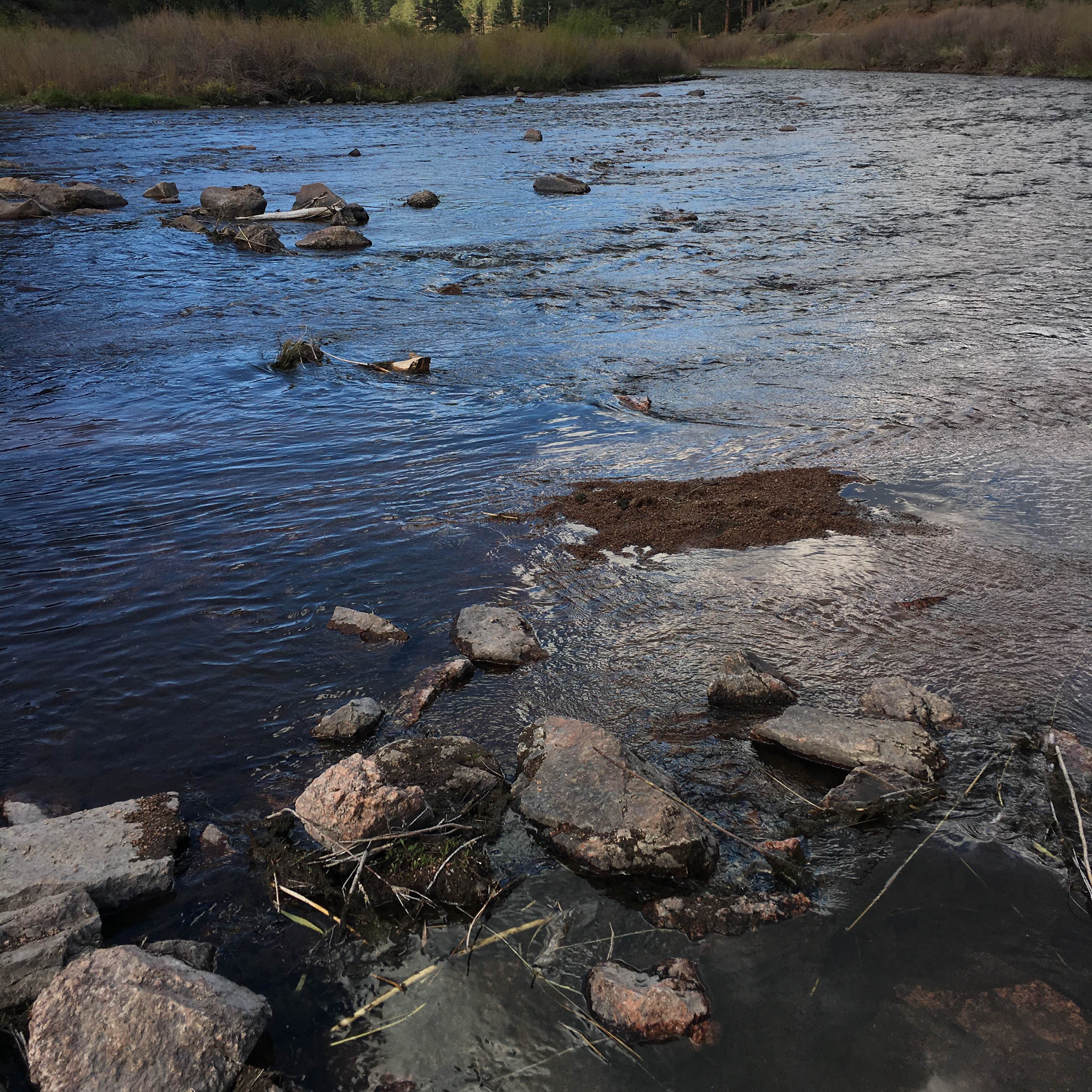 Osprey Camping | The Dyrt