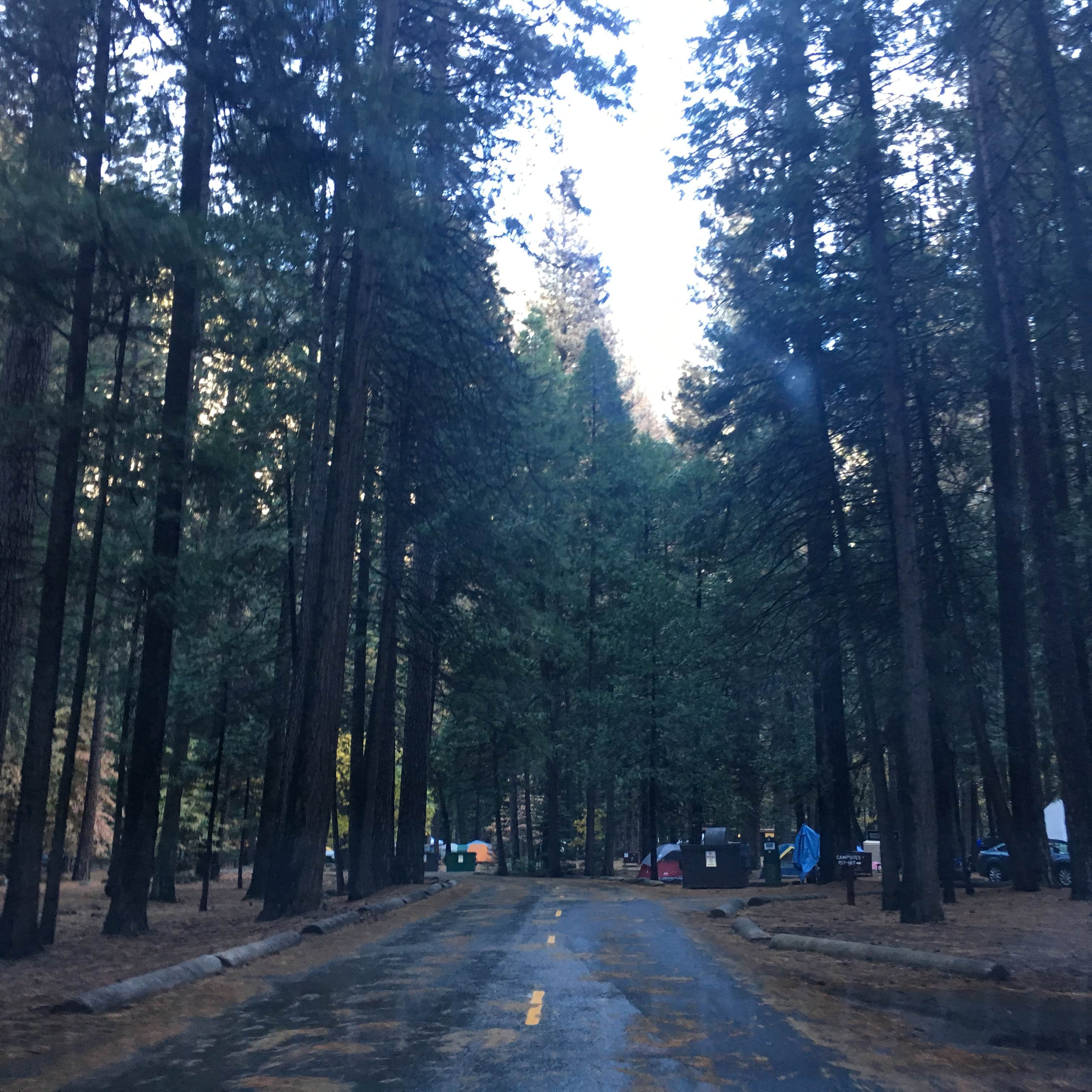 Yosemite Pines RV Resort & Family Lodging Camping | The Dyrt
