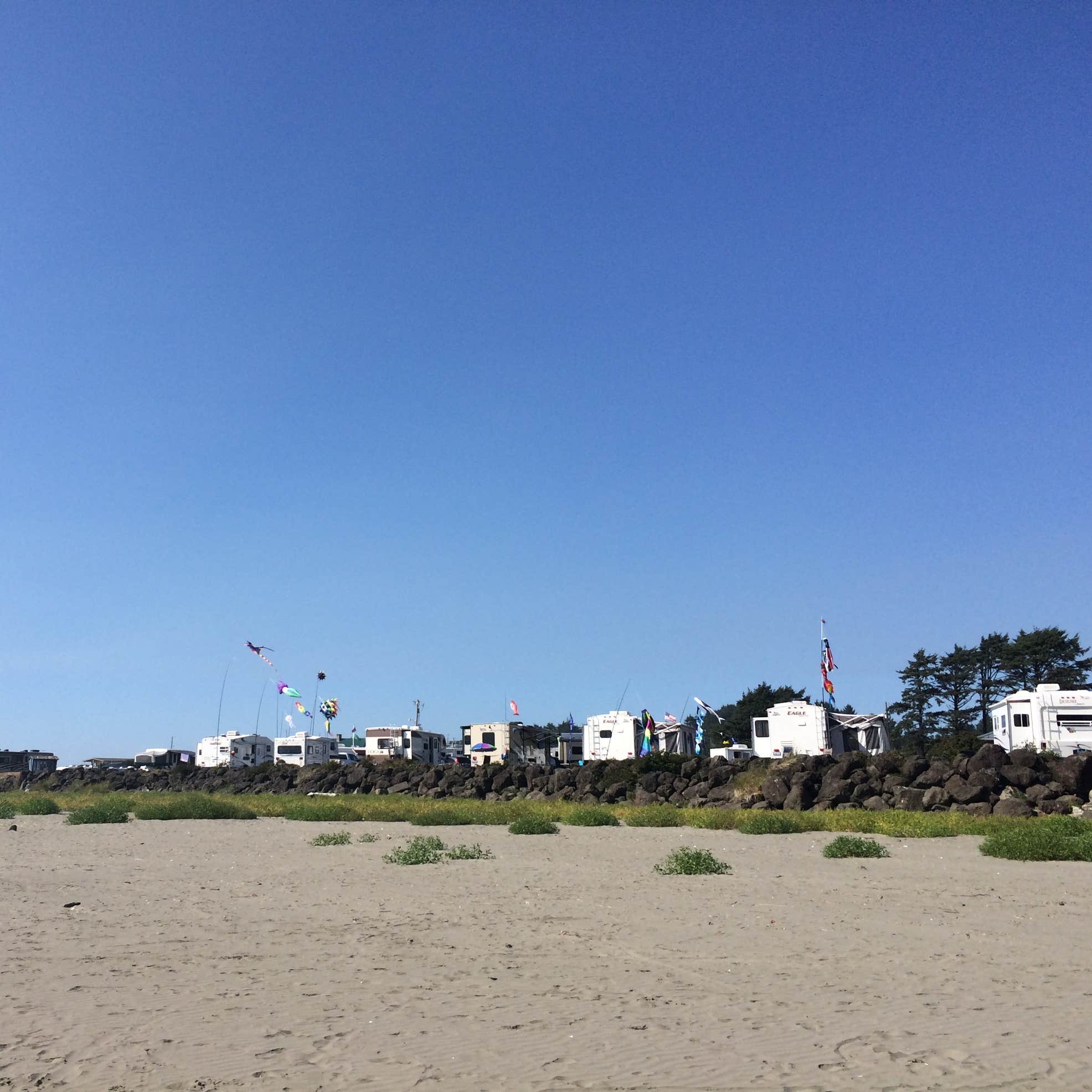 Pacific Beach State Park Camping | The Dyrt