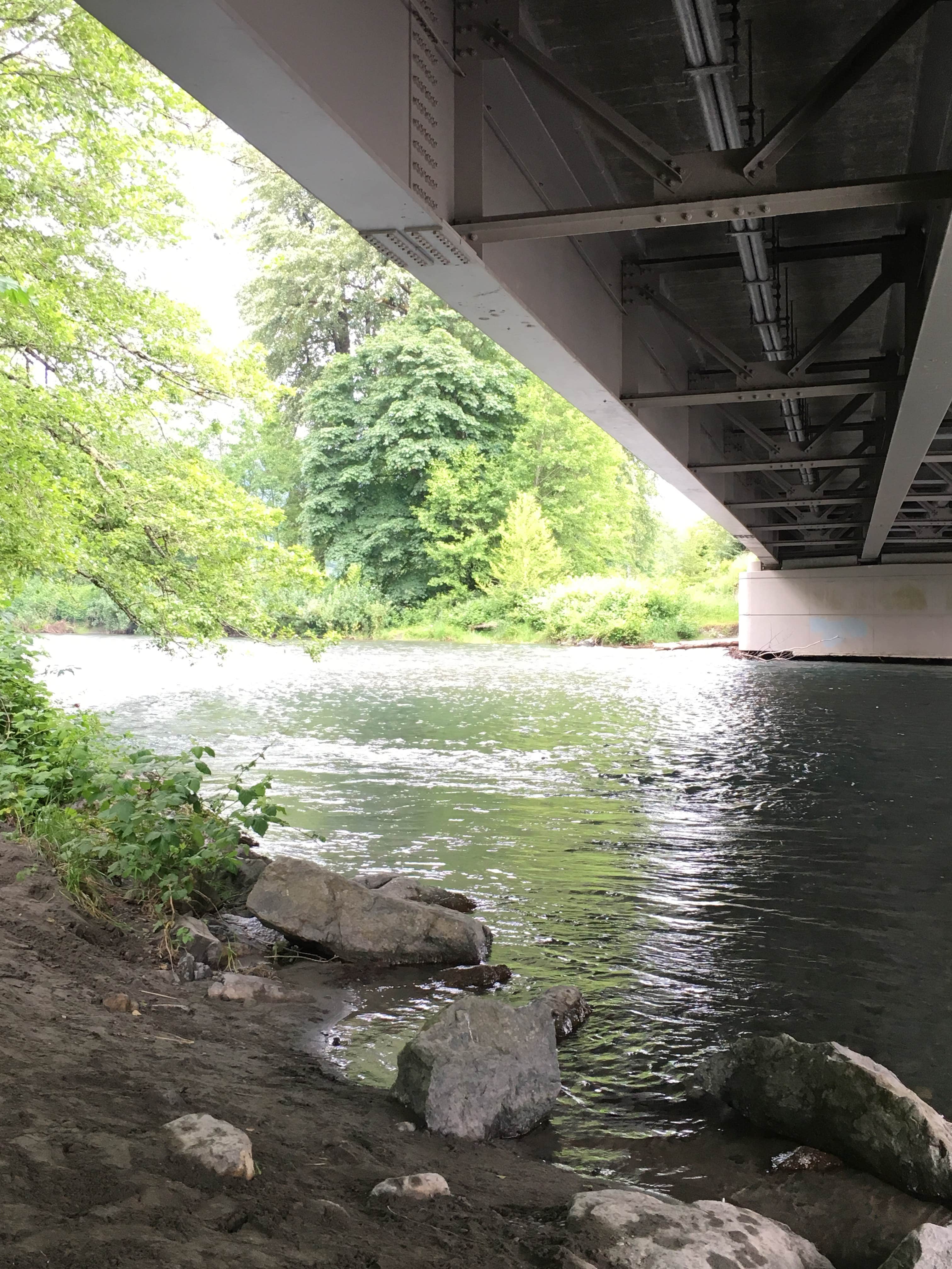 Dosewallips State Park Campground | Brinnon, Washington