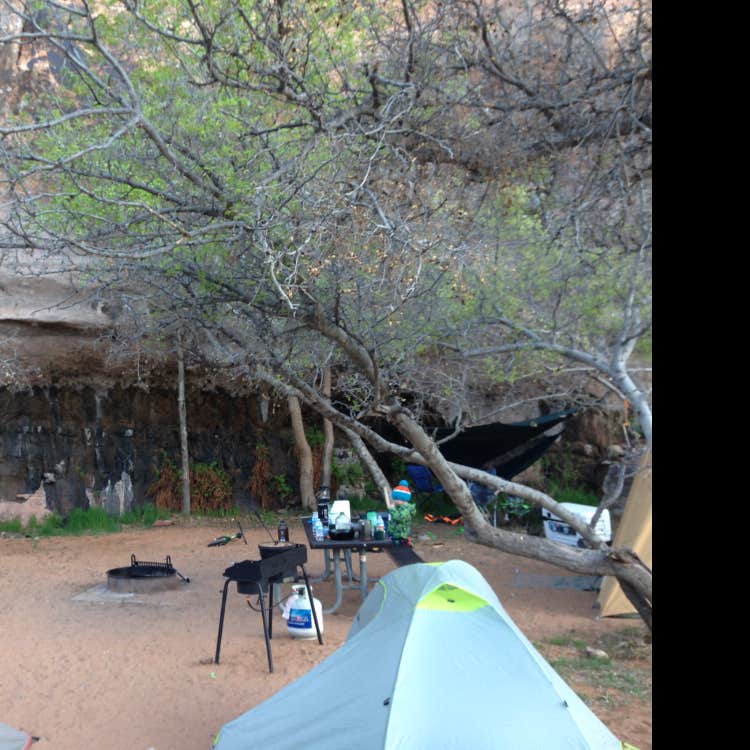 Williams Bottom Campground Camping | The Dyrt
