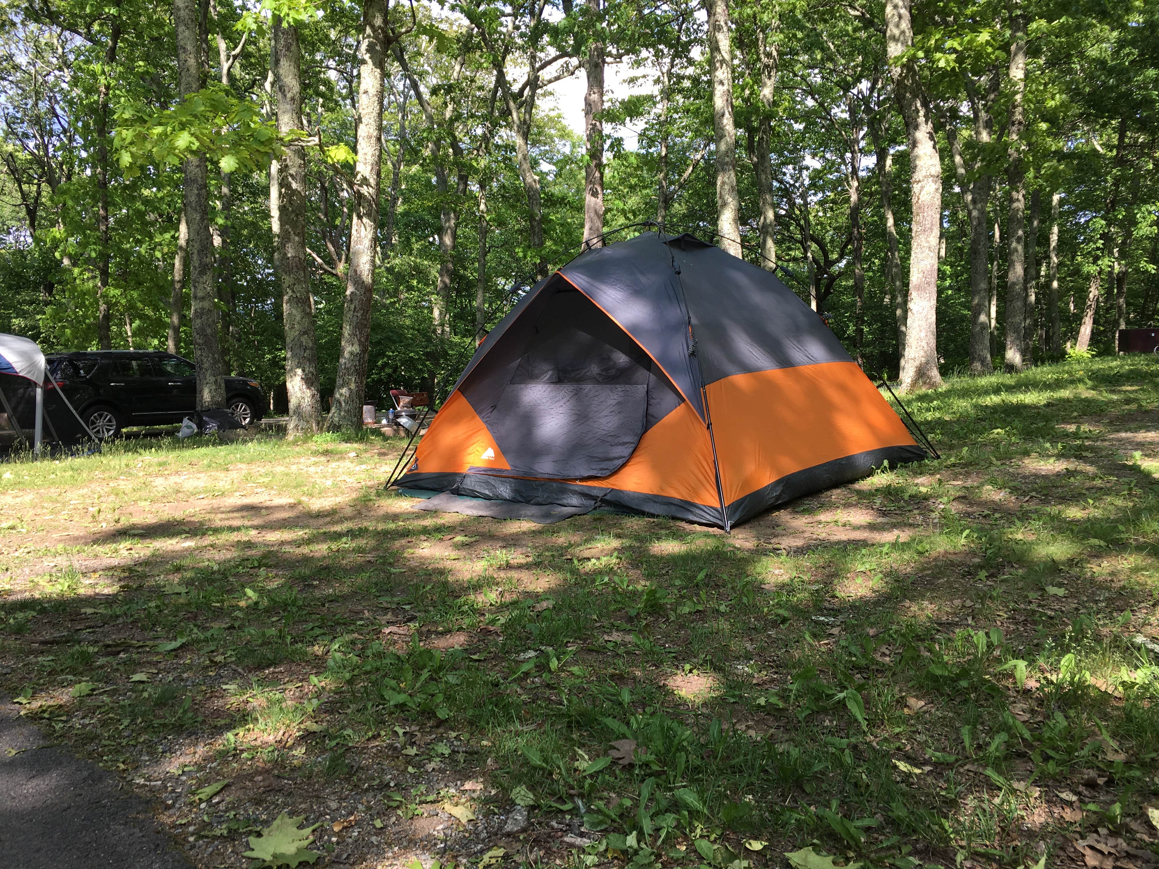 Lewis Mountain Campground — Shenandoah National Park | Hood, Virginia