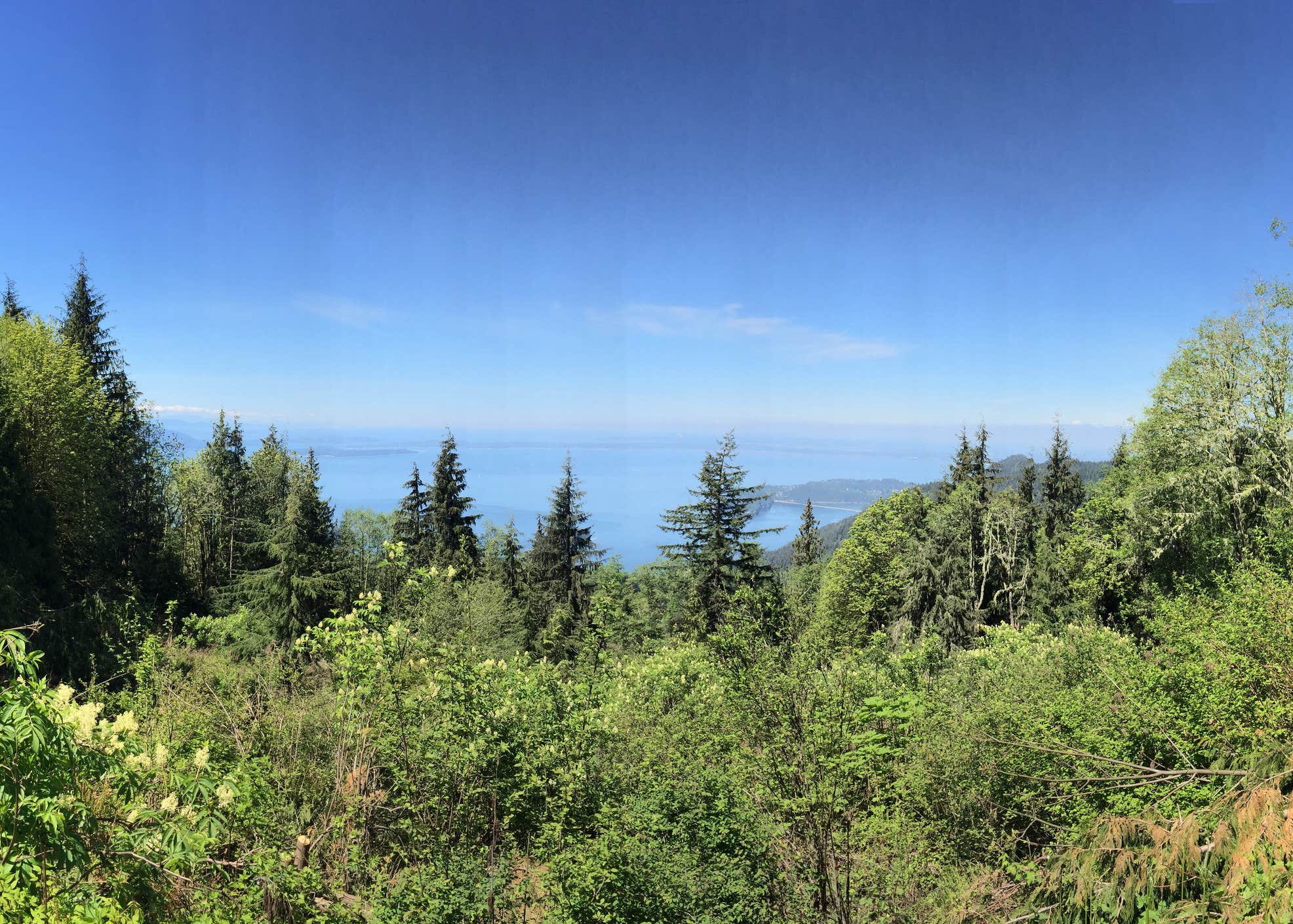 Larrabee State Park Camping | The Dyrt