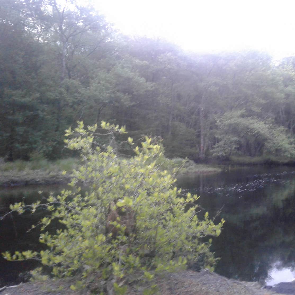 Hawkins Bridge — Wharton State Forest Camping | Chatsworth, New Jersey