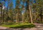 Blue Bell Campground Camping | The Dyrt