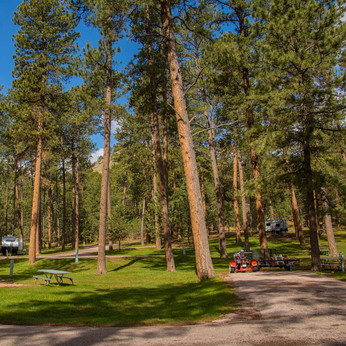Wind Cave National Park Camping Guide