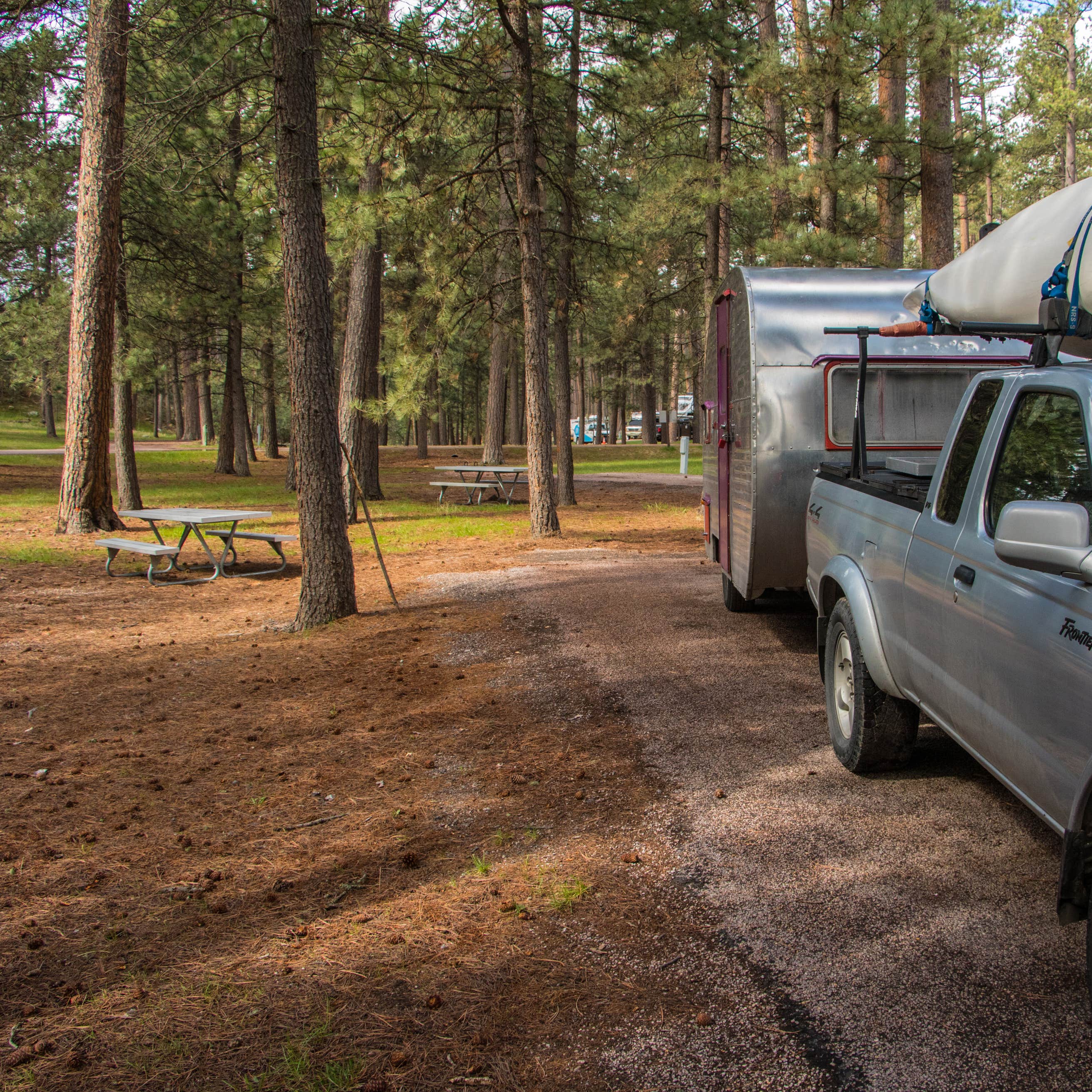 Blue Bell Campground Camping | Custer, SD | The Dyrt